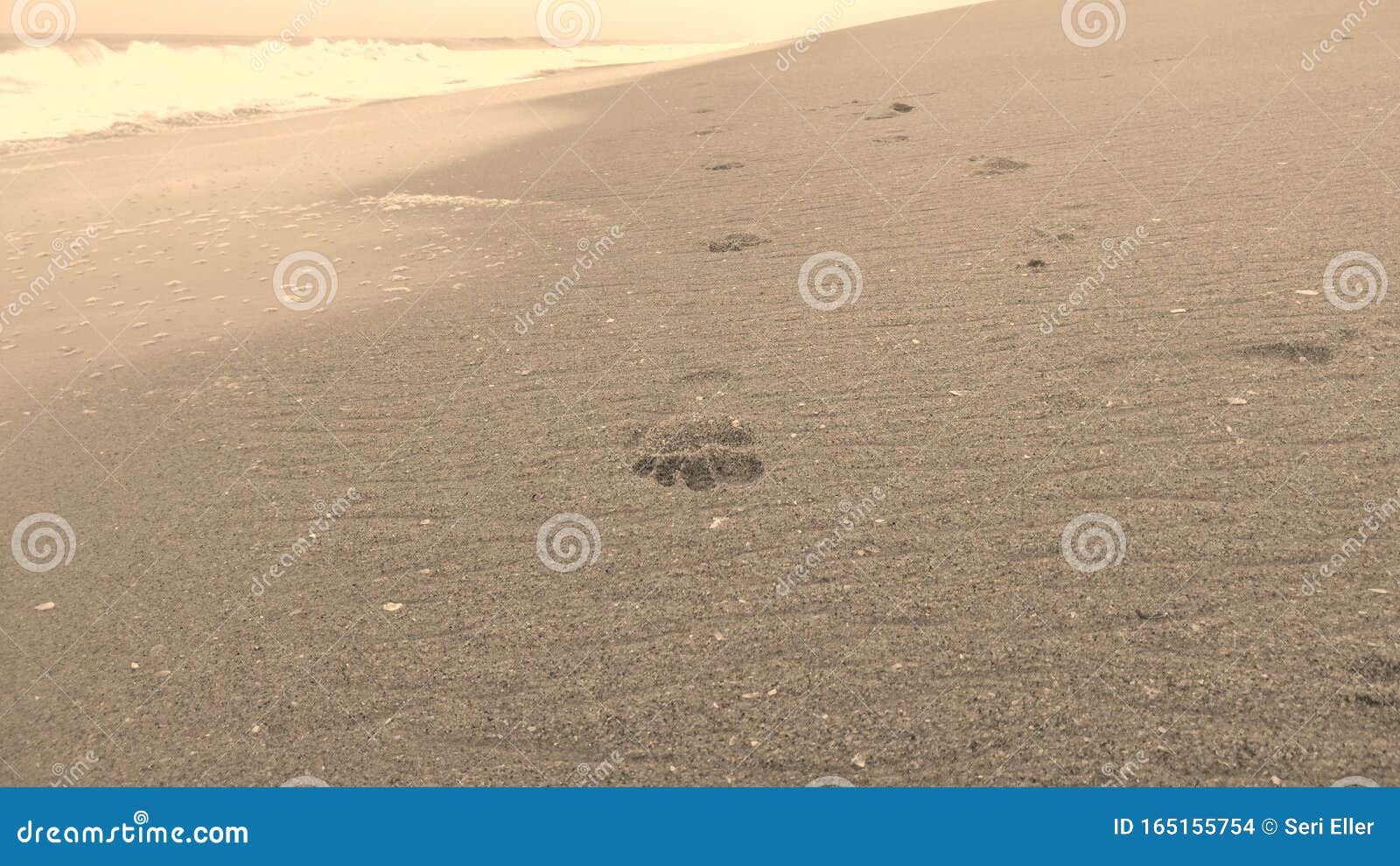 Imprints in the Sand stock photo. Image of never, forget - 165155754