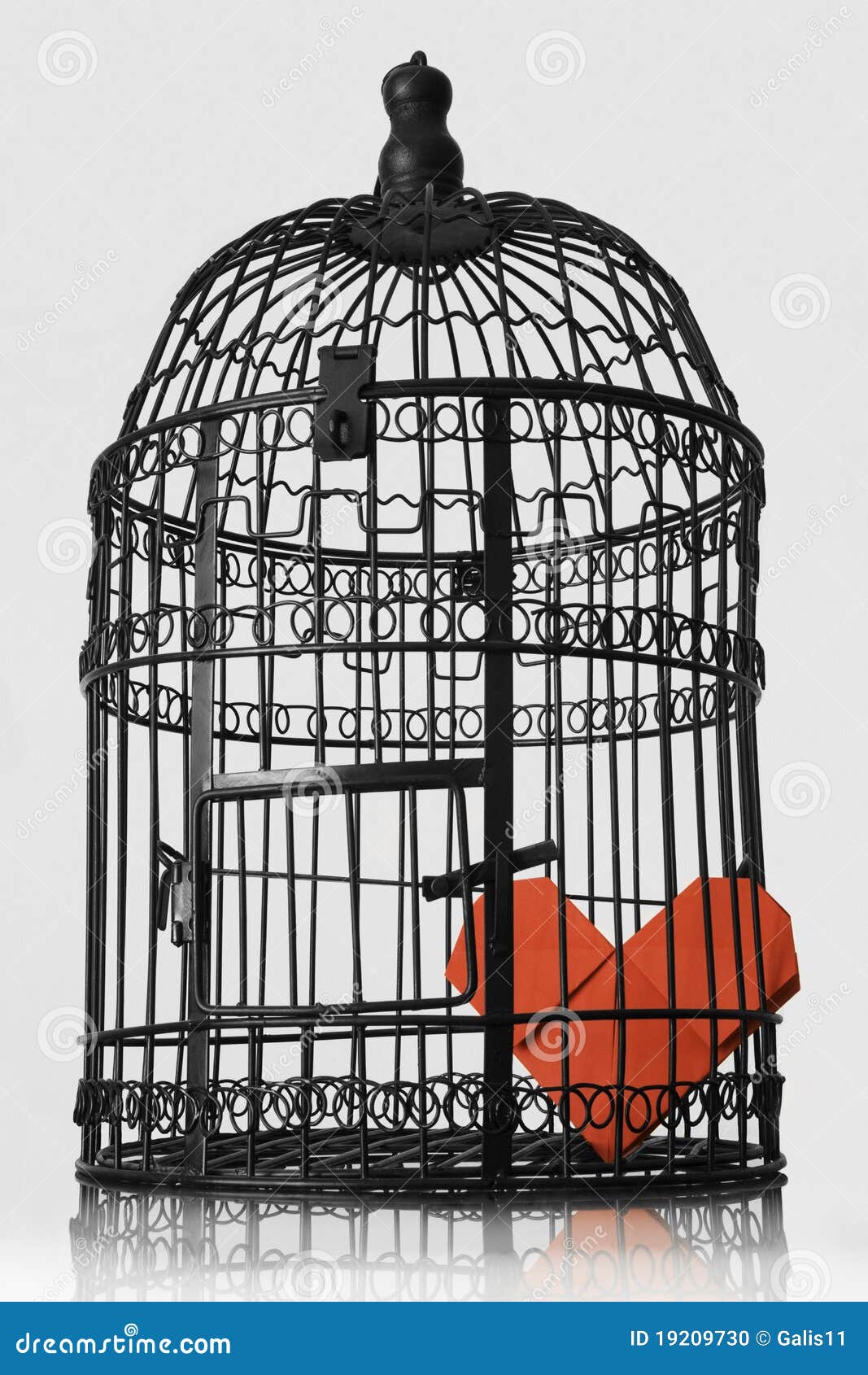 Imprisoned Heart stock photo. Image of captured, life - 19209730