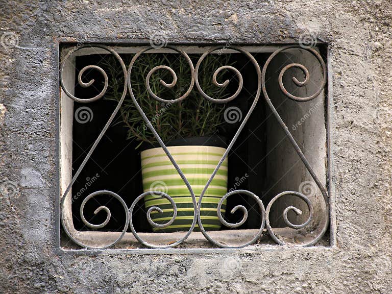 Imprisoned plant stock image. Image of plants, window, imprisoned - 65863