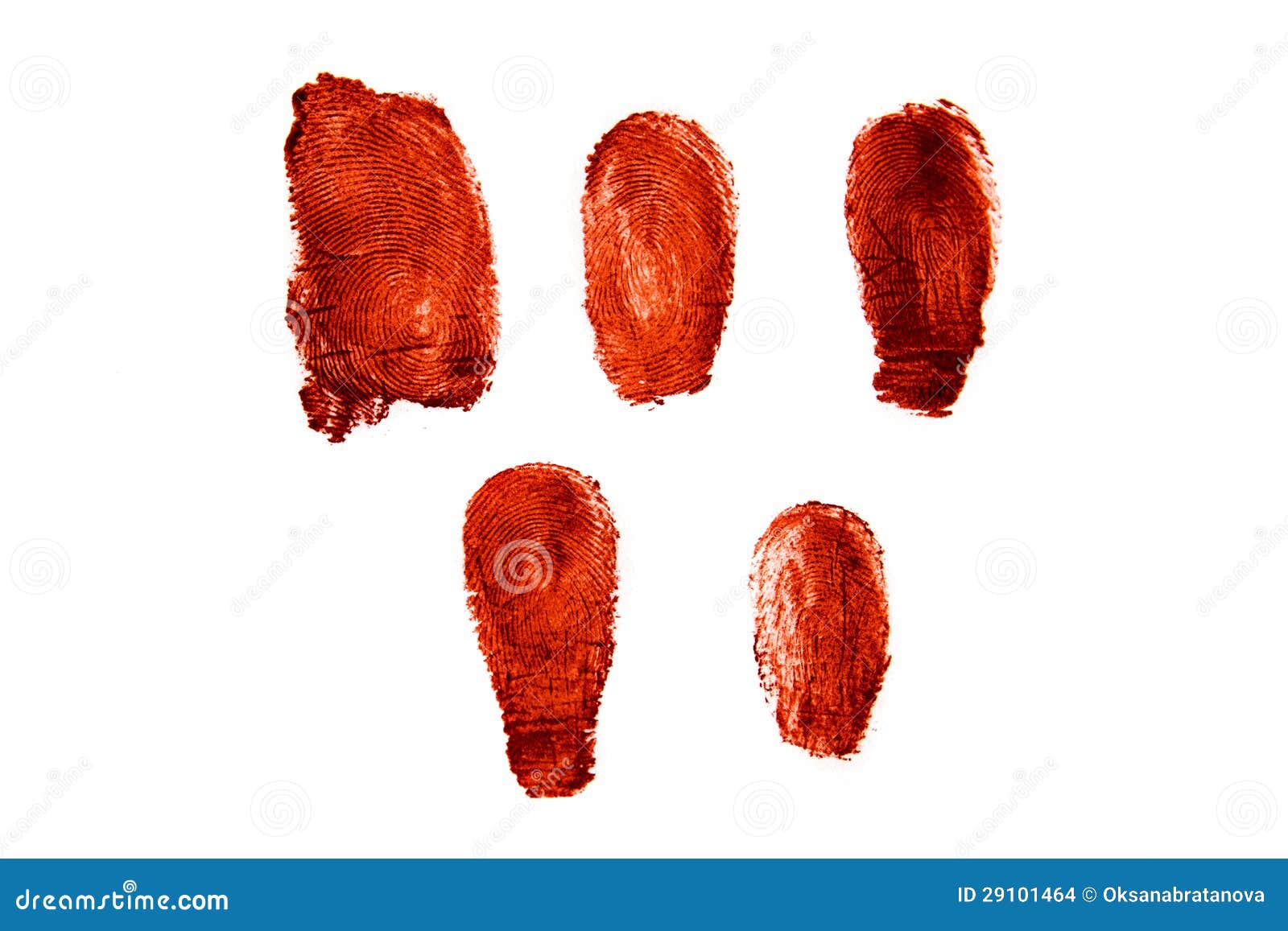 Impronte Digitali Sanguinose Fotografia Stock - Immagine di gherone ...