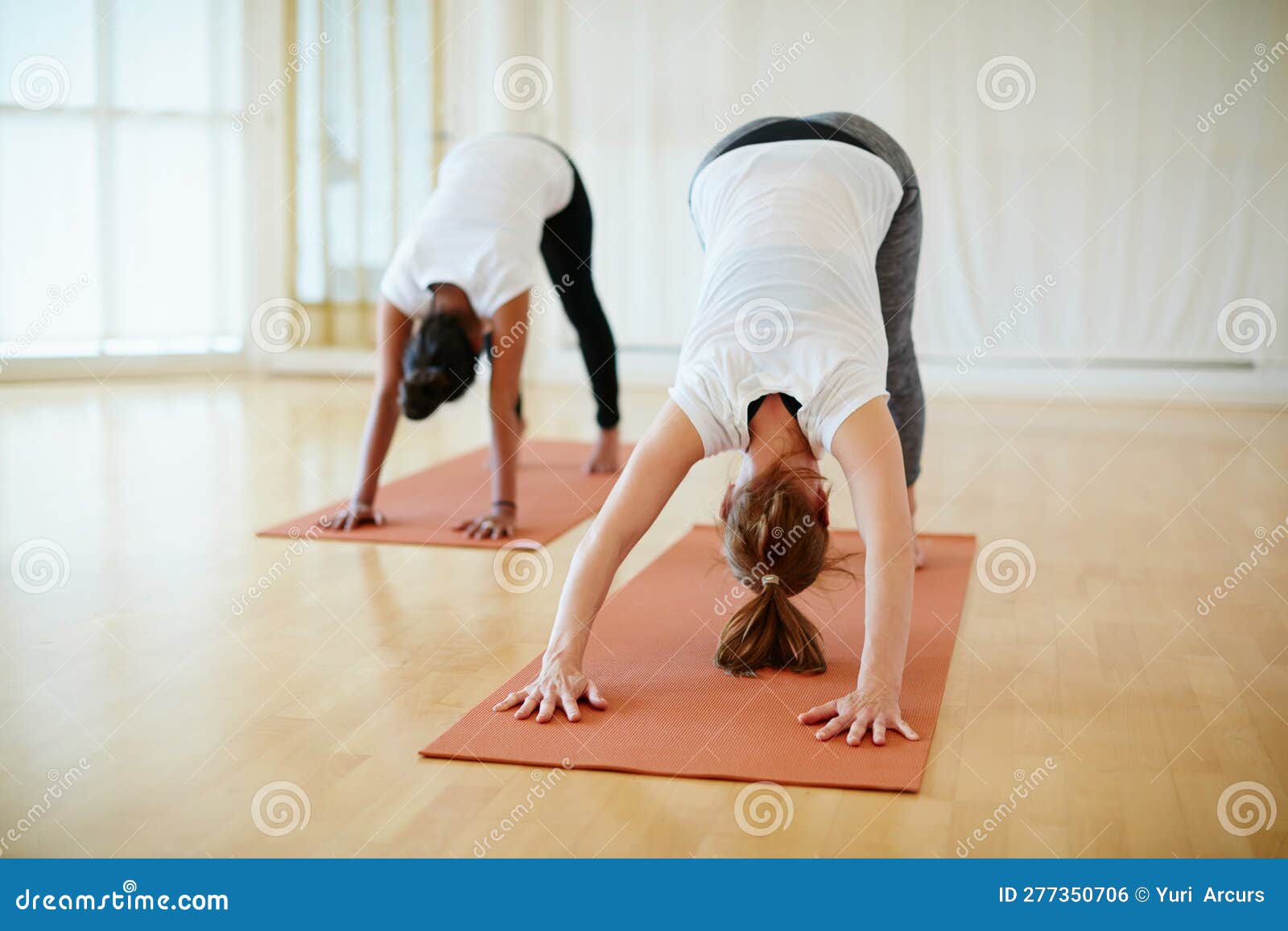 Improving Their Flexibility through Yoga. Two Women Doing Yoga Together ...