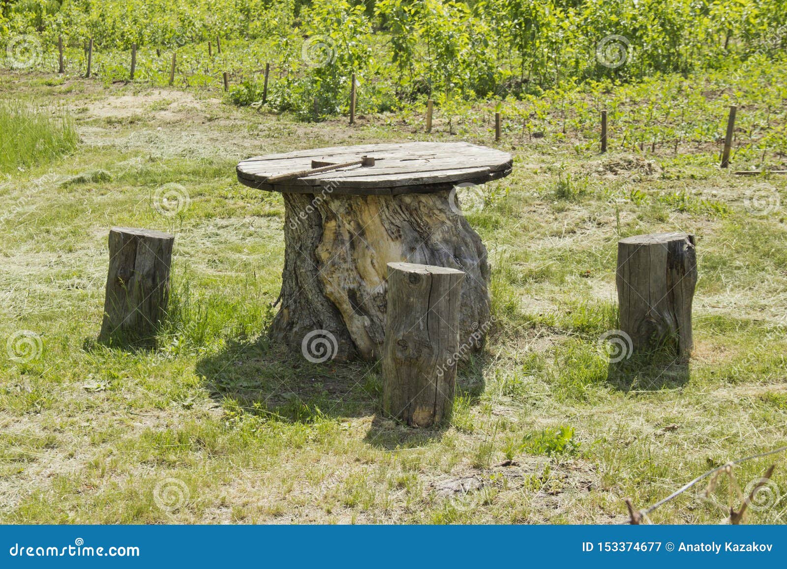 An Improvised Table With Seats In The Form Of Stumps Stock Photography ...