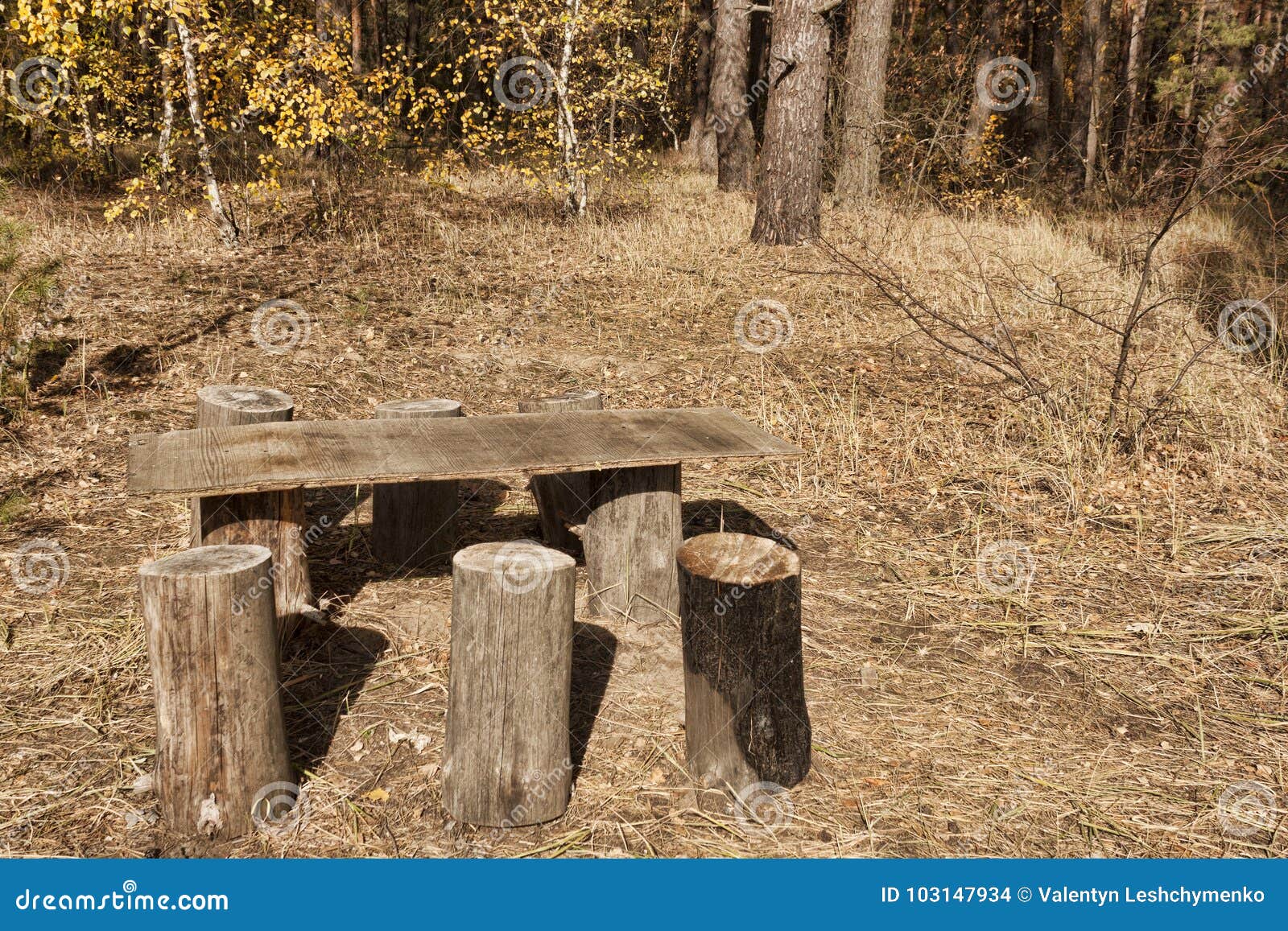 An Improvised Table with Seats in the Form of Stumps Stock Photo ...