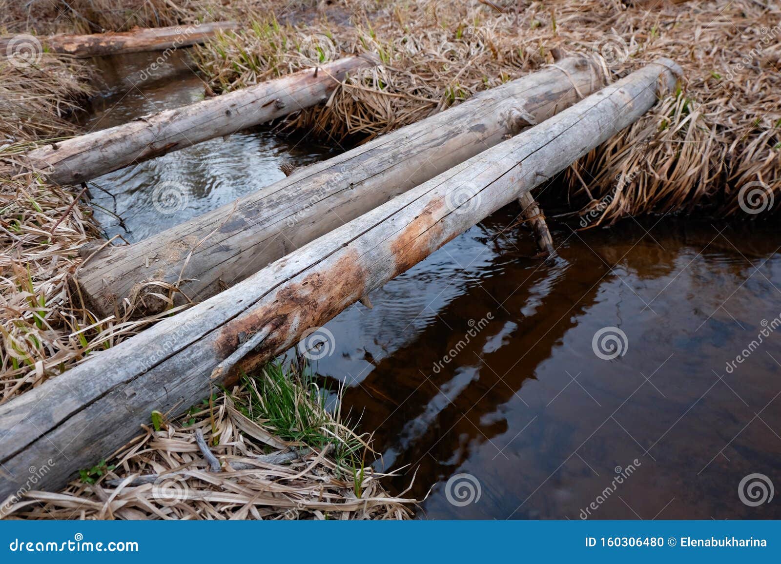 Improvised Wooden Bridge Over Small Stream in the Early Spring Forest ...