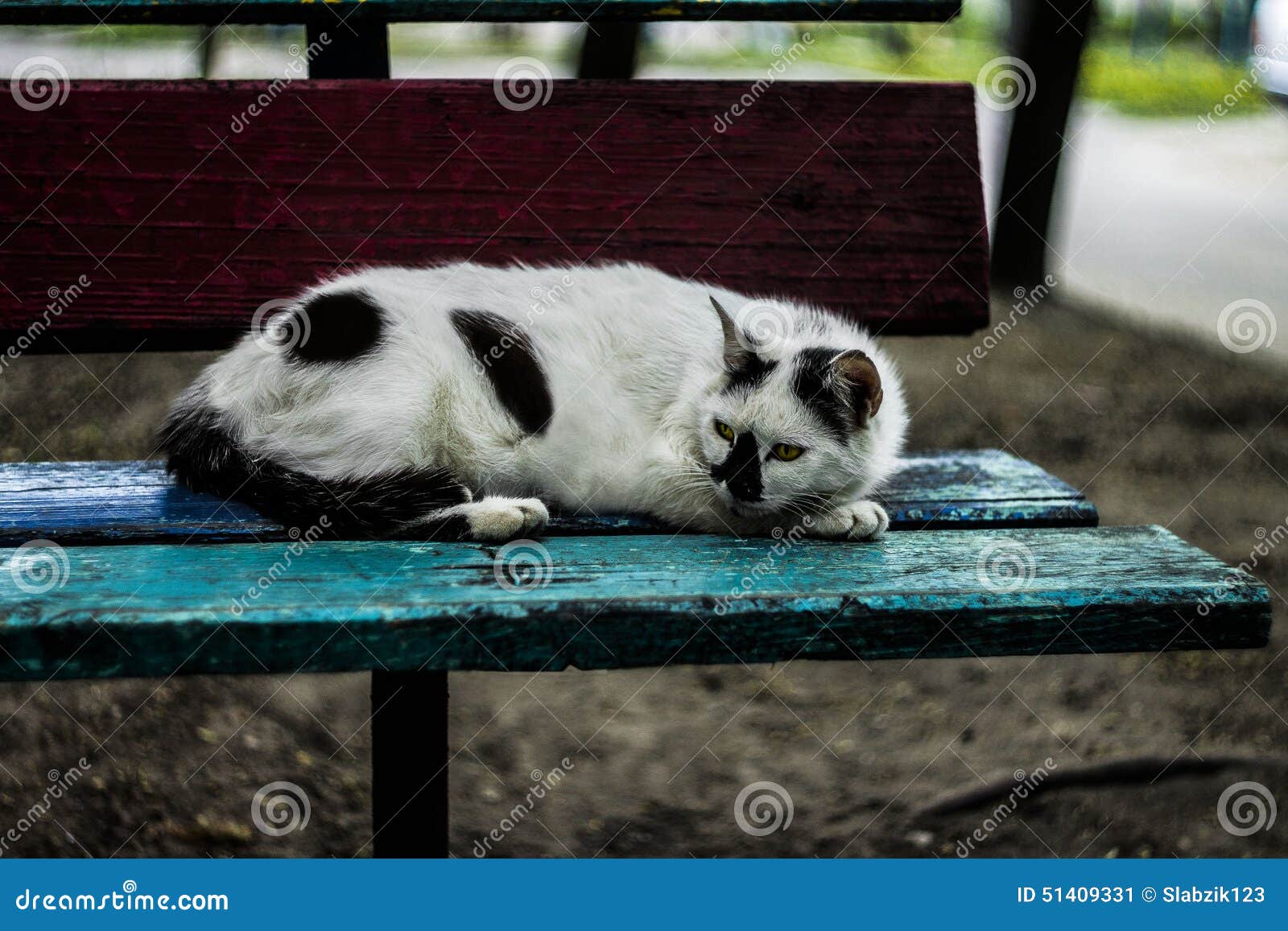 Impudent Cartoons, Illustrations & Vector Stock Images - 527 Pictures ...