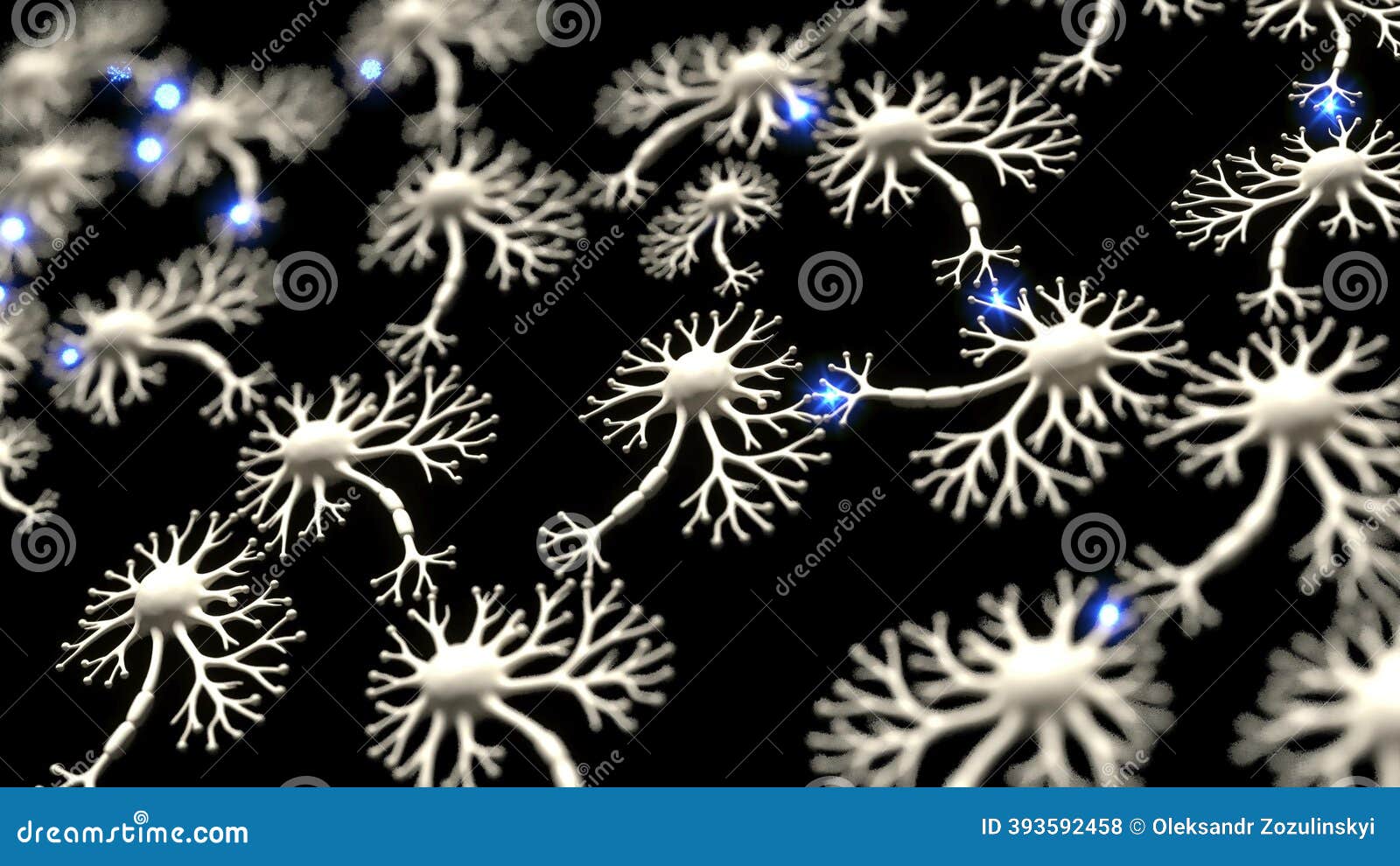 Neurons In The Brain Under A Microscope Stock Photography ...