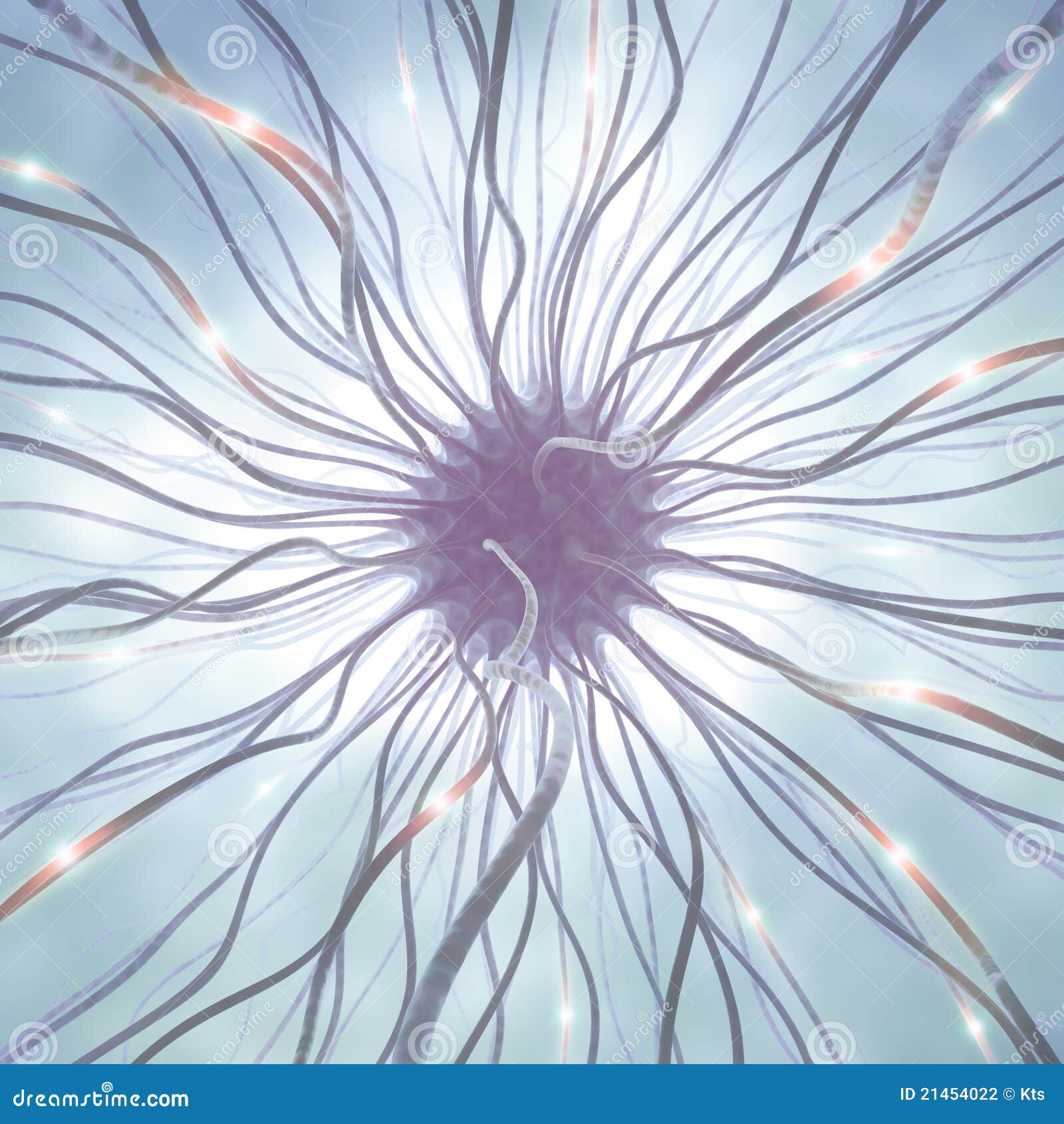 Impulsion De Cellule Nerveuse Illustration Stock - Illustration du idée ...