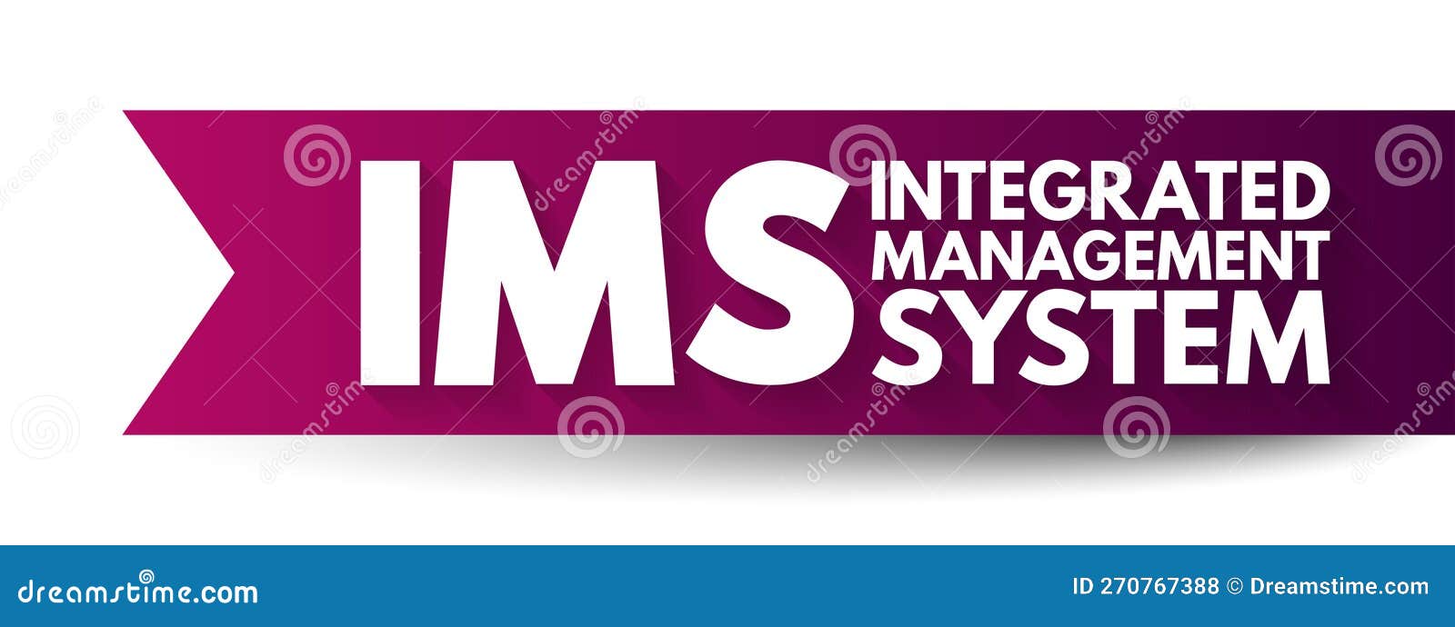 IMS Integrated Management System - Combines All of an Organisation S ...