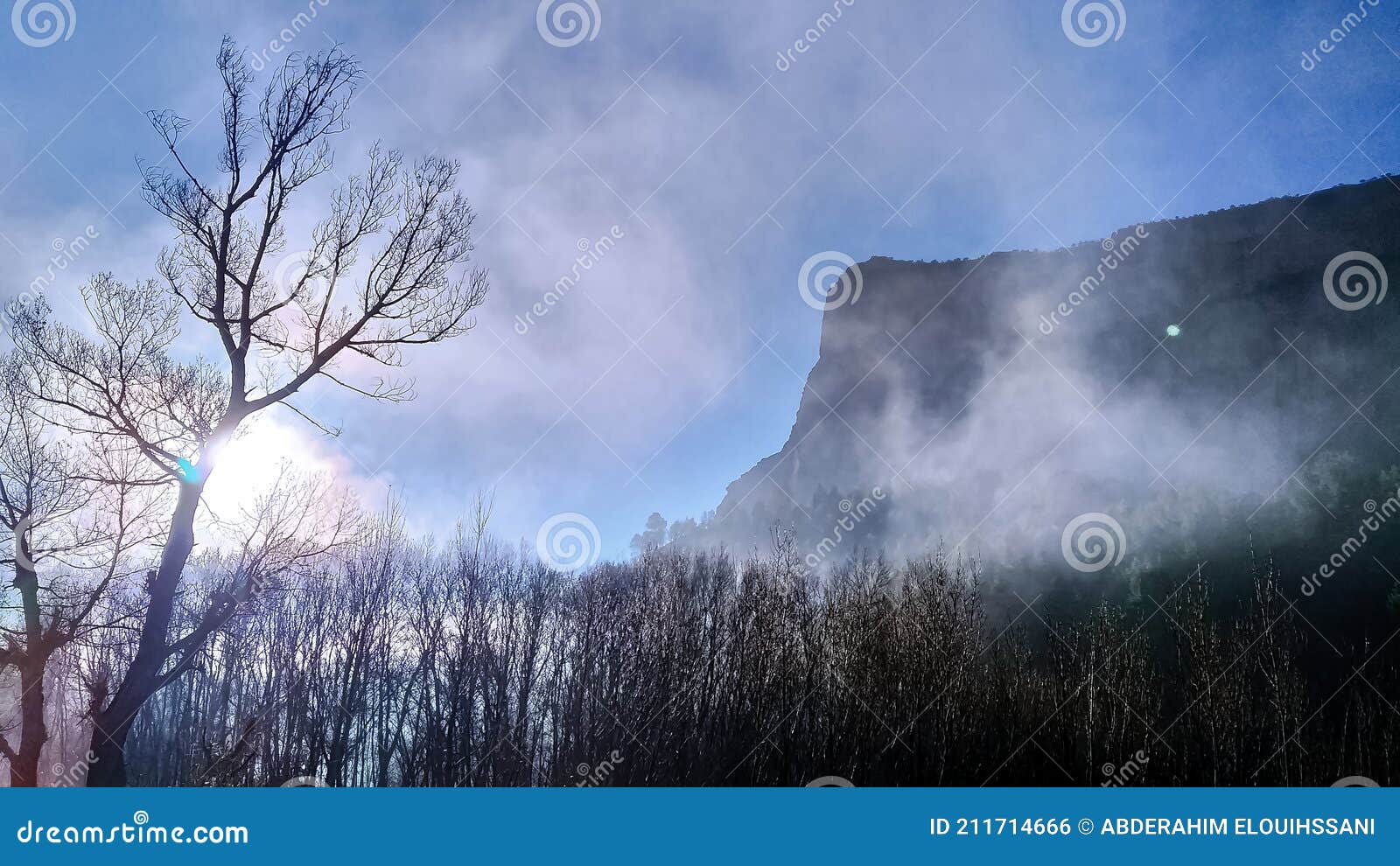 Imsfran Catedral in Autmun at Morning Stock Photo - Image of forest ...