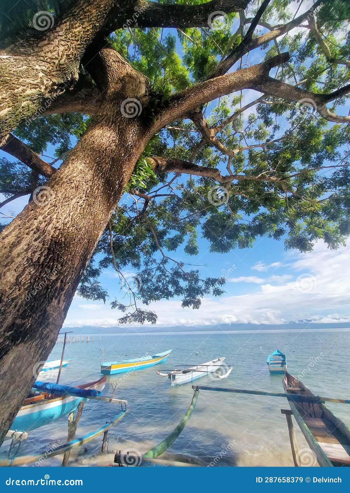Ina Marina Beach Nature Maluku Stock Image - Image of nature, beach ...