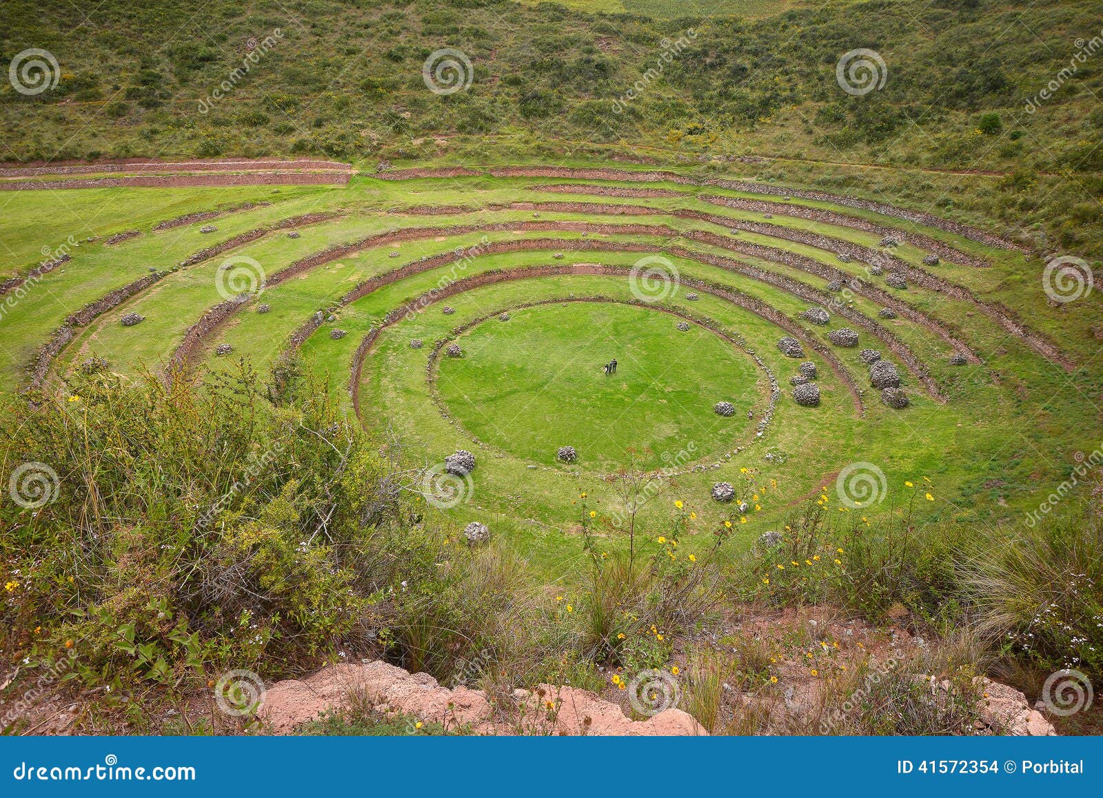Inca agriculture field stock photo. Image of valley, architecture ...