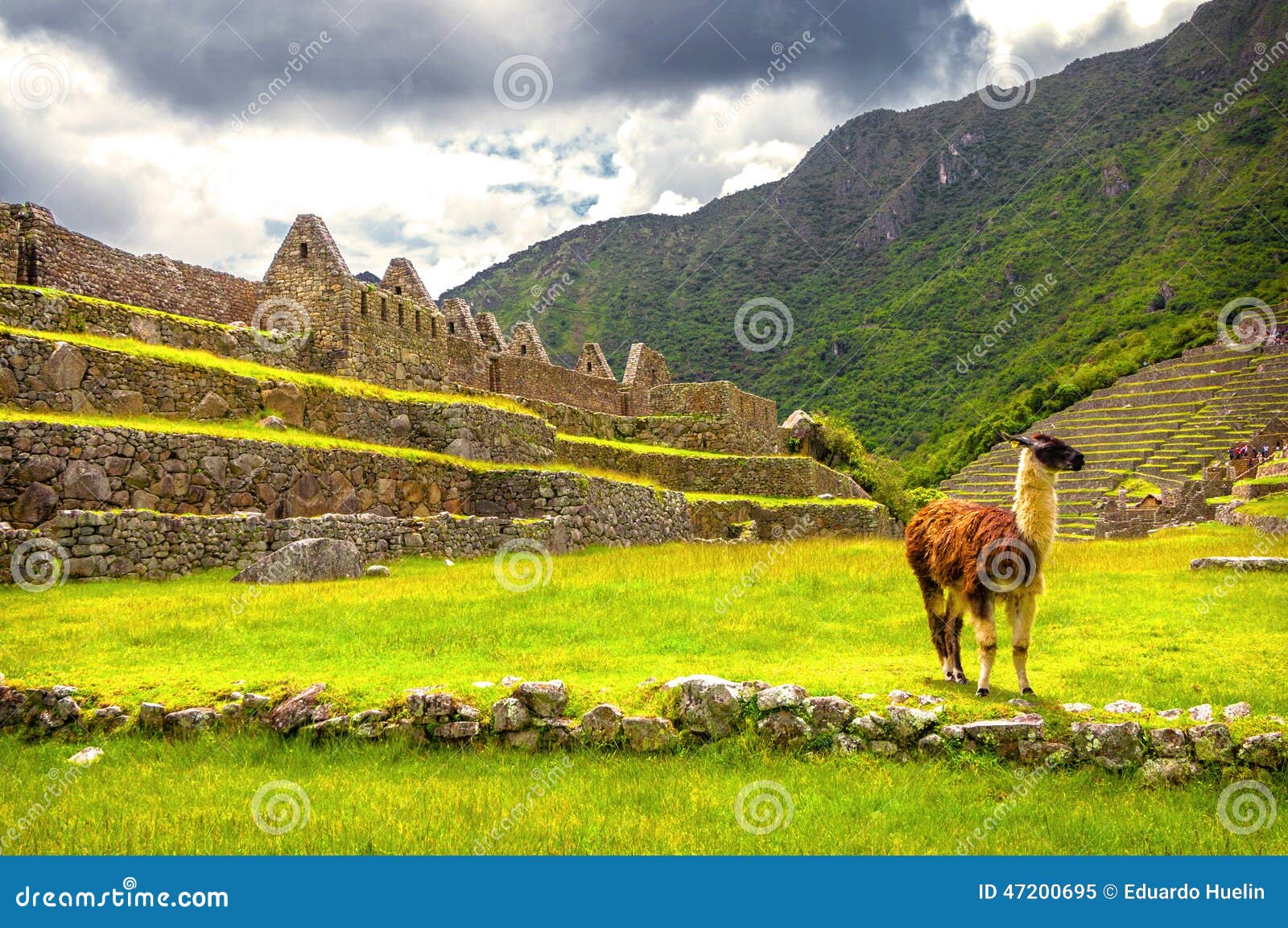 Inca City Machu Picchu (Peru) Stock Image - Image of cusco, colonialism ...