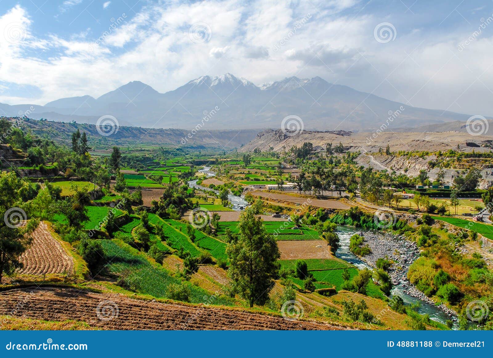 Inca Garden and Misti Volcano - Arequipa, Peru Stock Photo - Image of ...