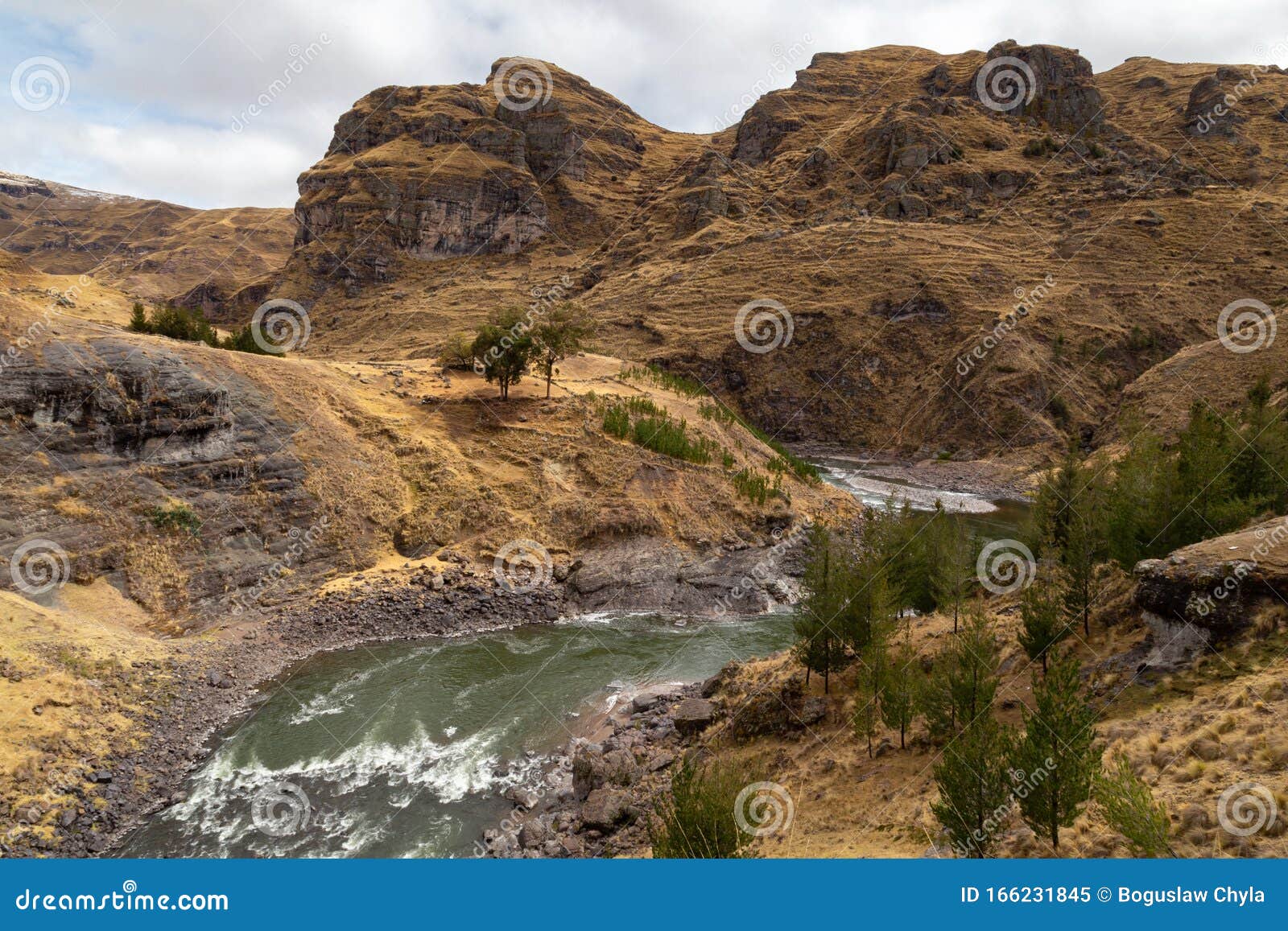 Inca Qeswachaka Bridge Made of Grass Stock Image - Image of river ...