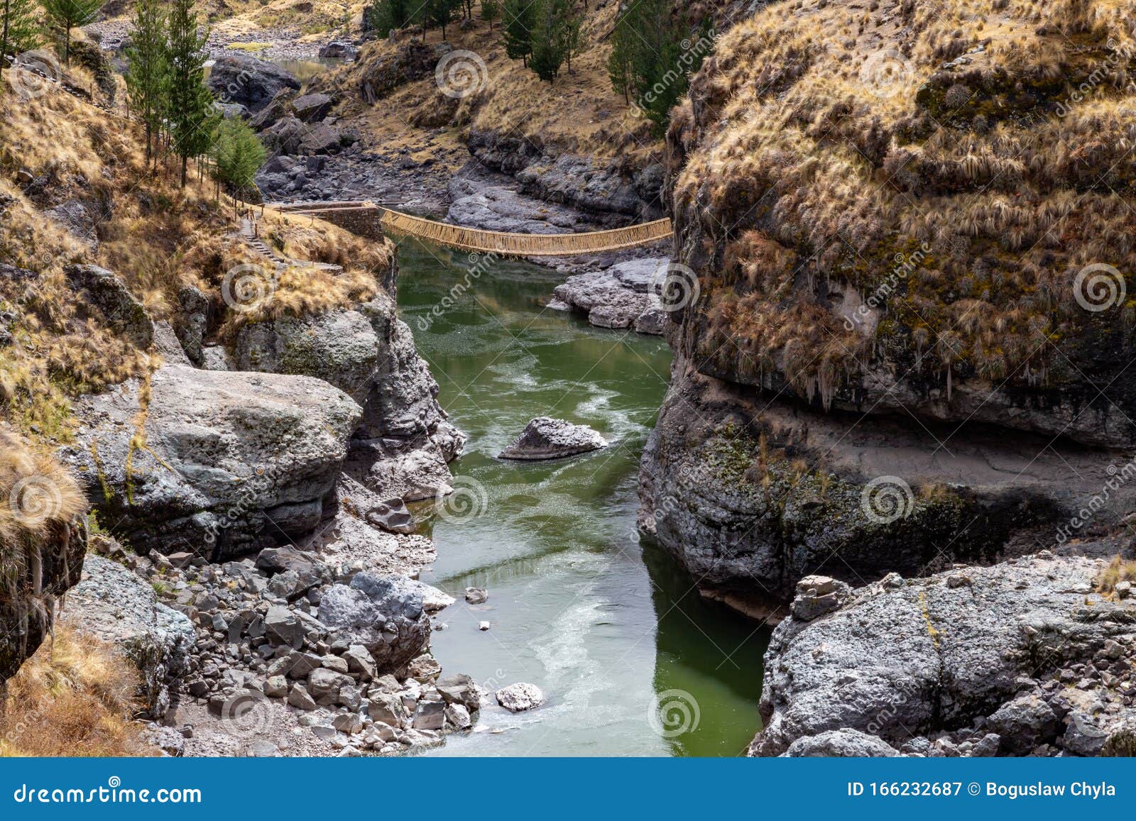 Inca Qeswachaka Bridge Made of Grass Stock Image - Image of qeswachaka ...