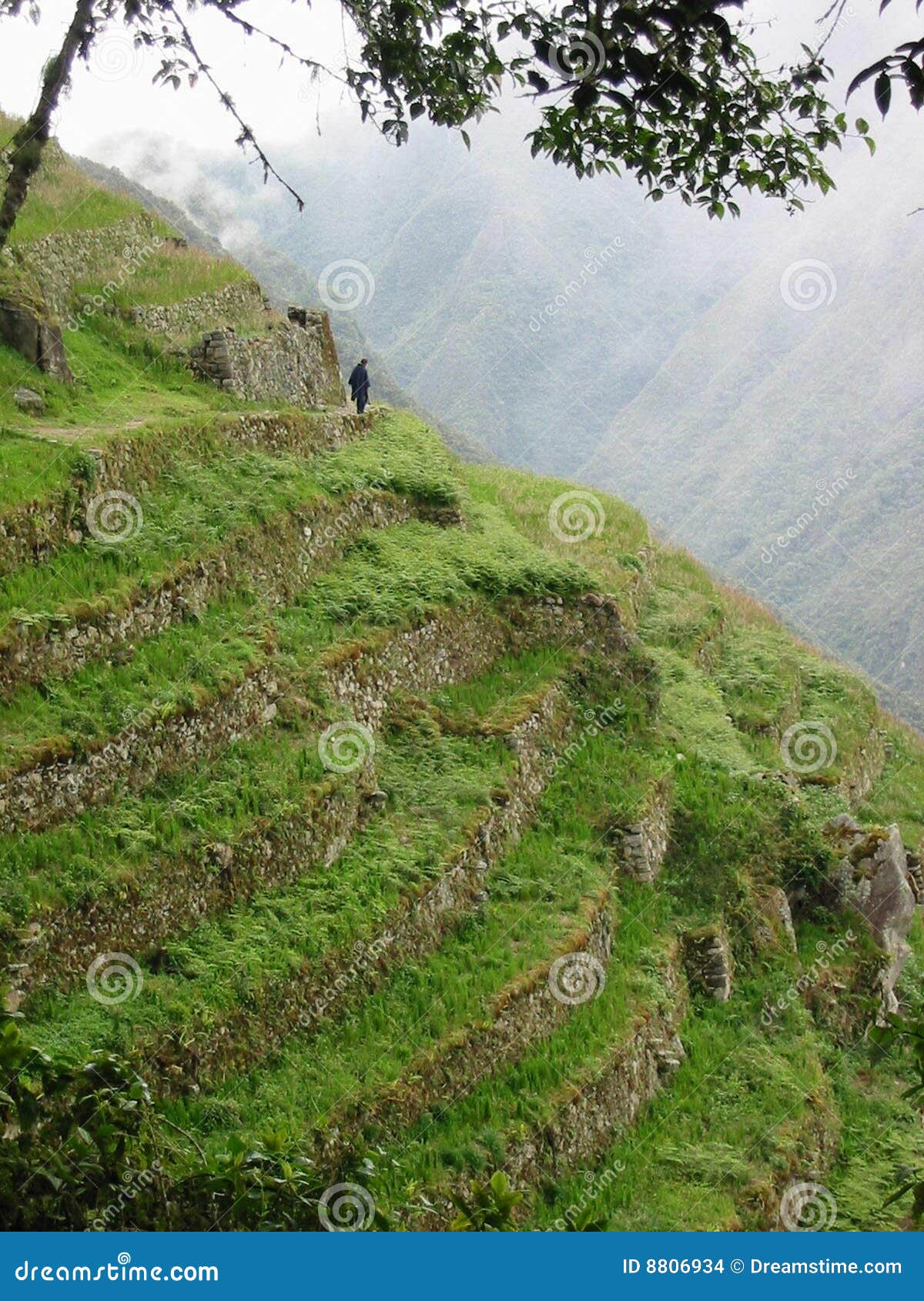 Inca Ruins - Terraced Slope Stock Photo - Image of peruvian, alone: 8806934