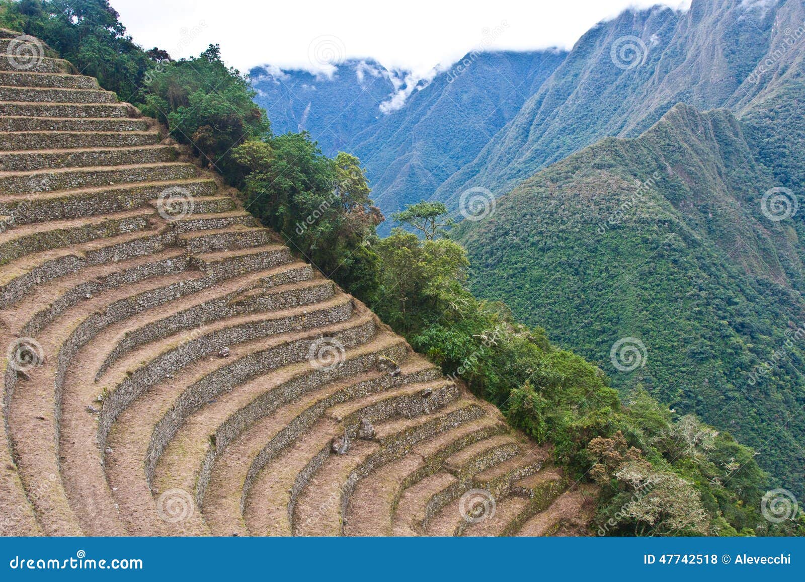 Inca stairs stock photo. Image of green, forest, backpack - 47742518
