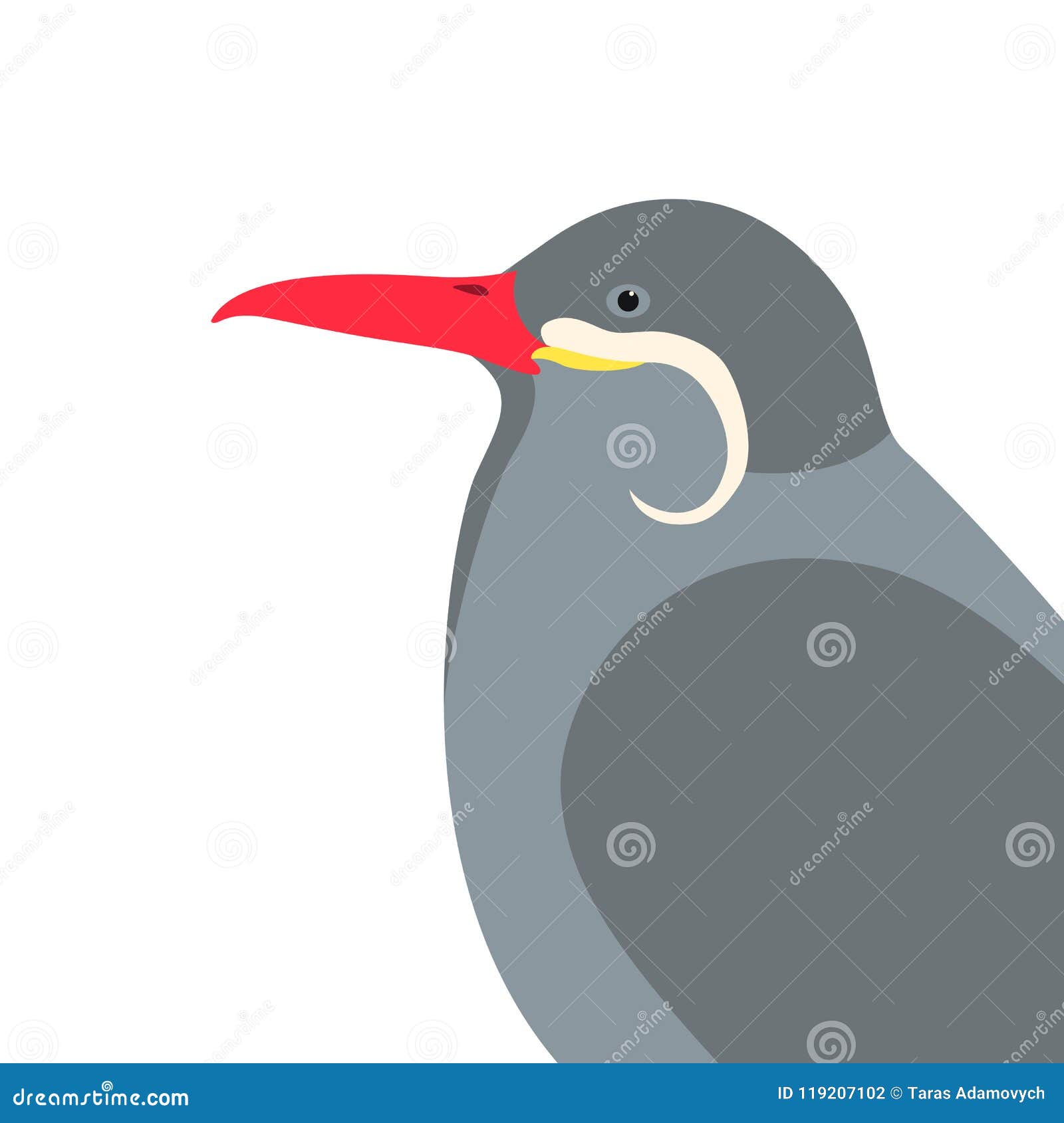 Inca Tern Bird Head Vector Illustration Flat Style Profile Stock Vector ...