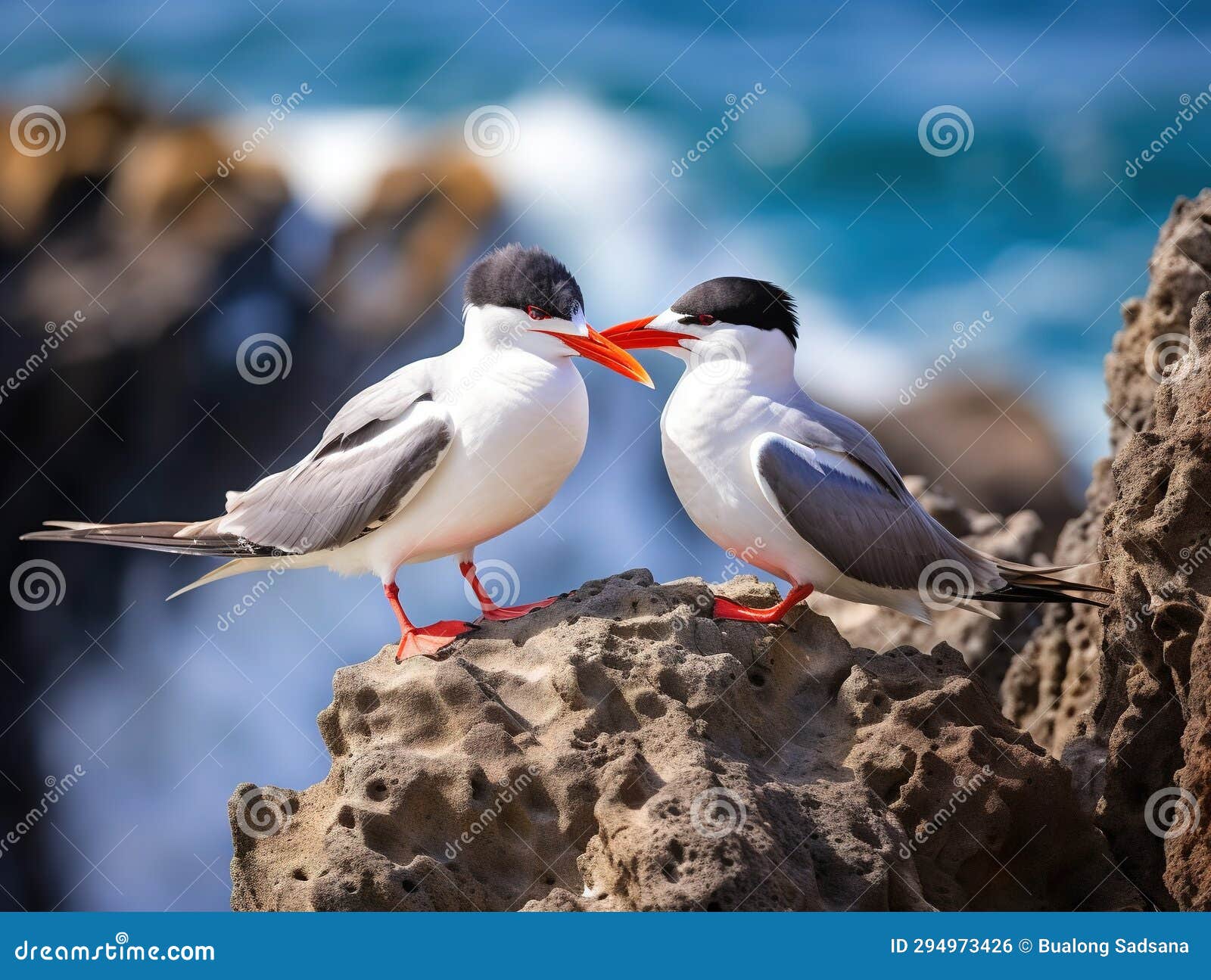 Inca Terns on a Peruvian Island Made with Generative AI Illustration ...