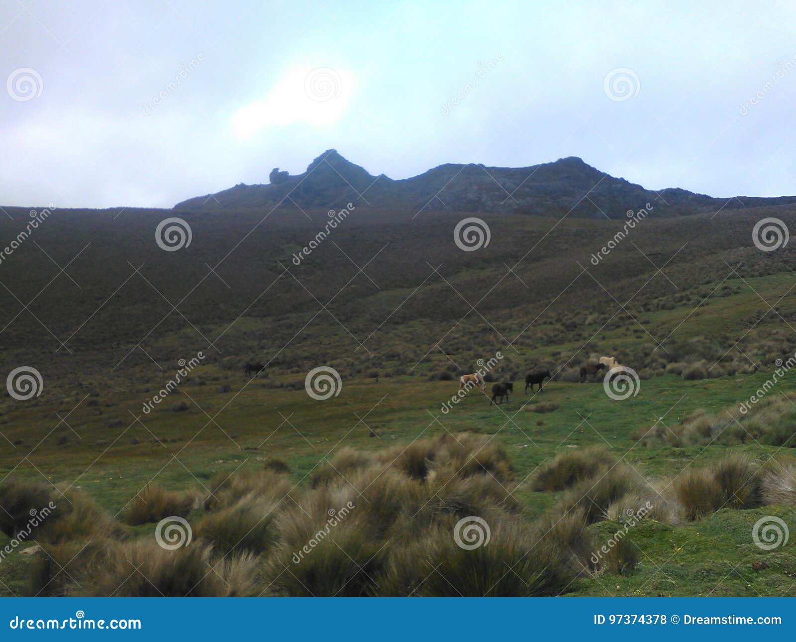 Inca trail in ecuador stock photo. Image of hill, tundra - 97374378