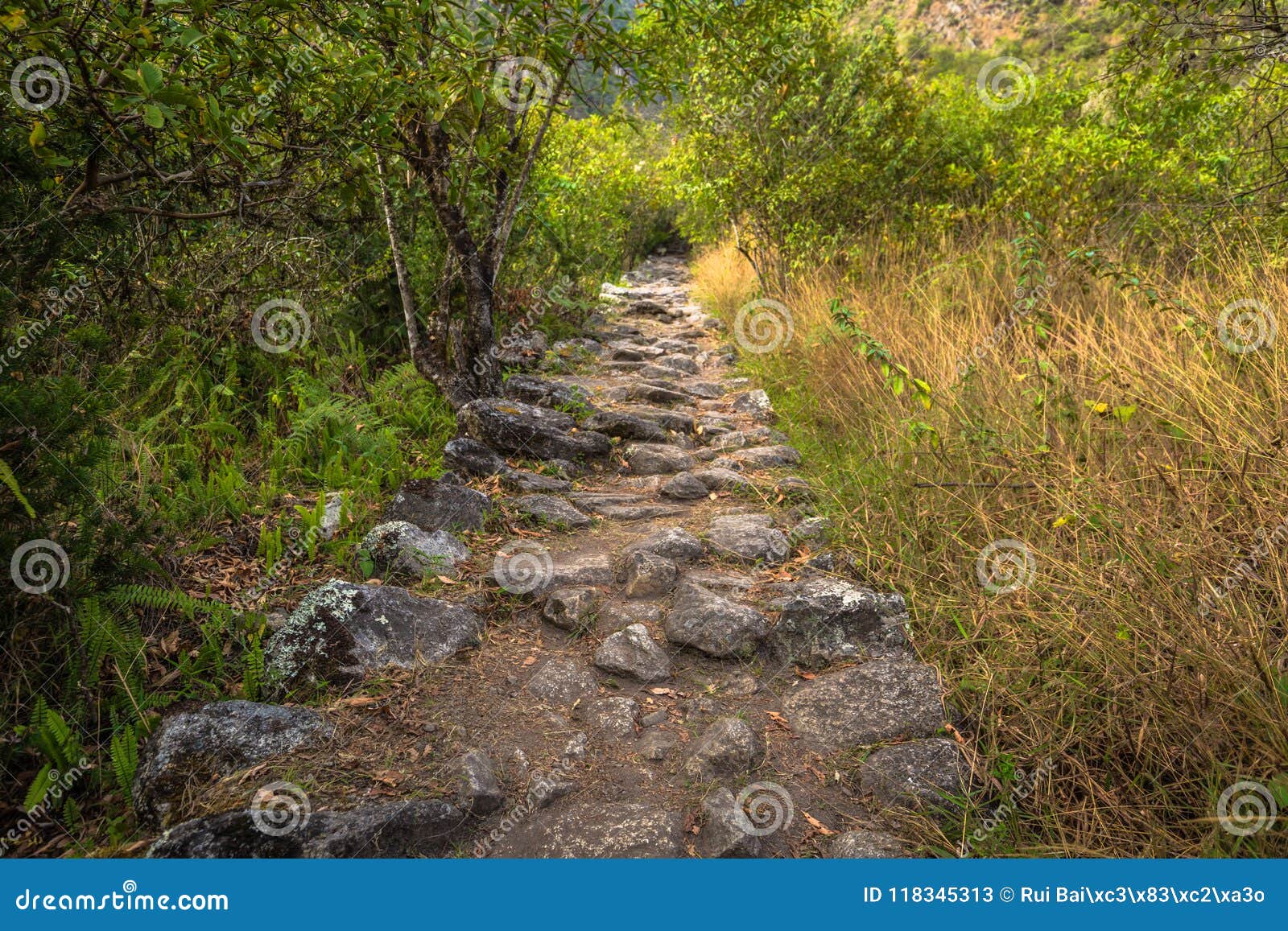 Inca Trail, Peru - August 03, 2017: Wild Landscape of the Inca T Stock ...