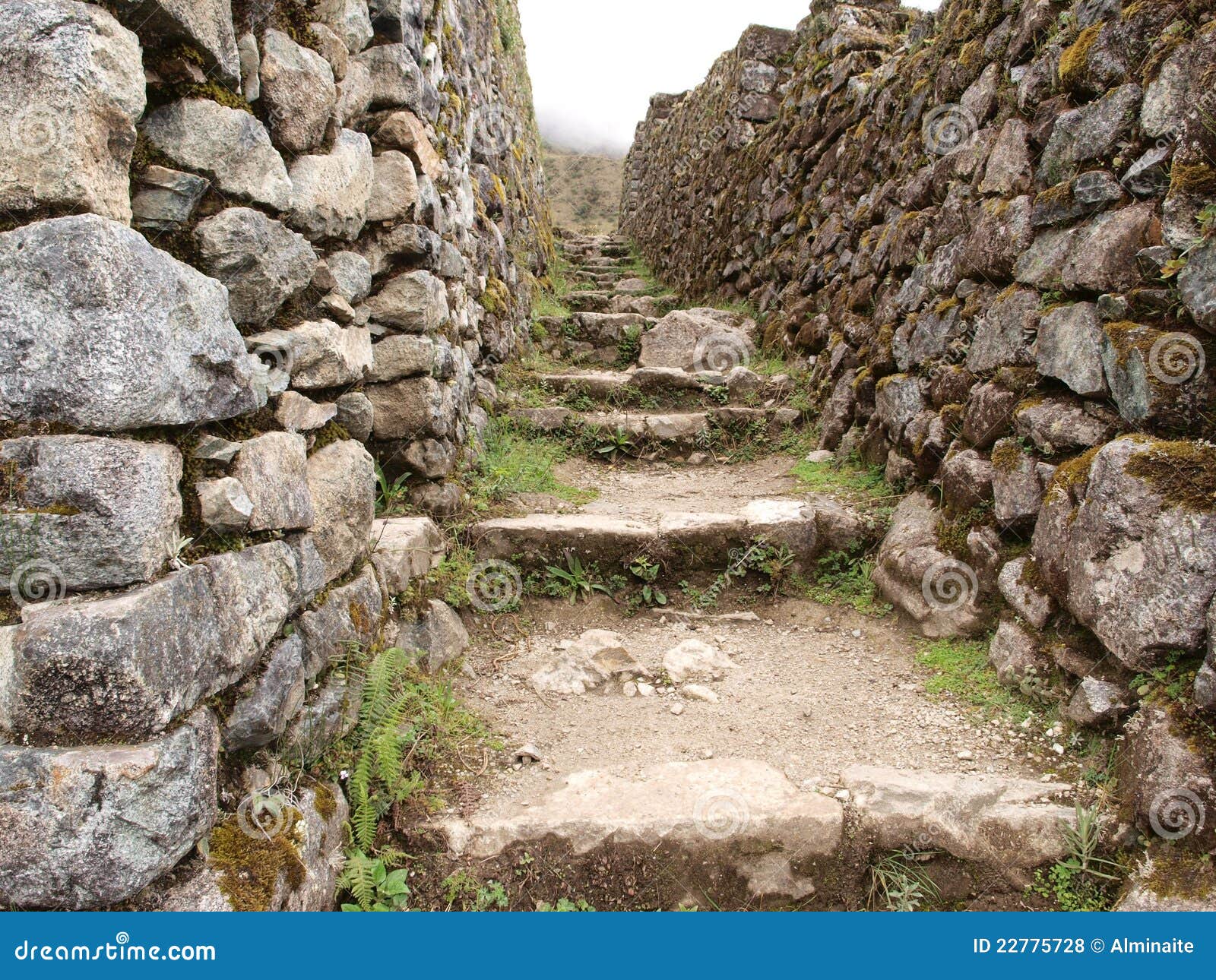Inca Trail between Stone Walls Stock Photo - Image of cobble, america ...