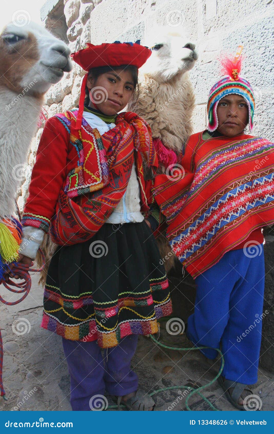 Incan children with llamas editorial photo. Image of costume - 13348626