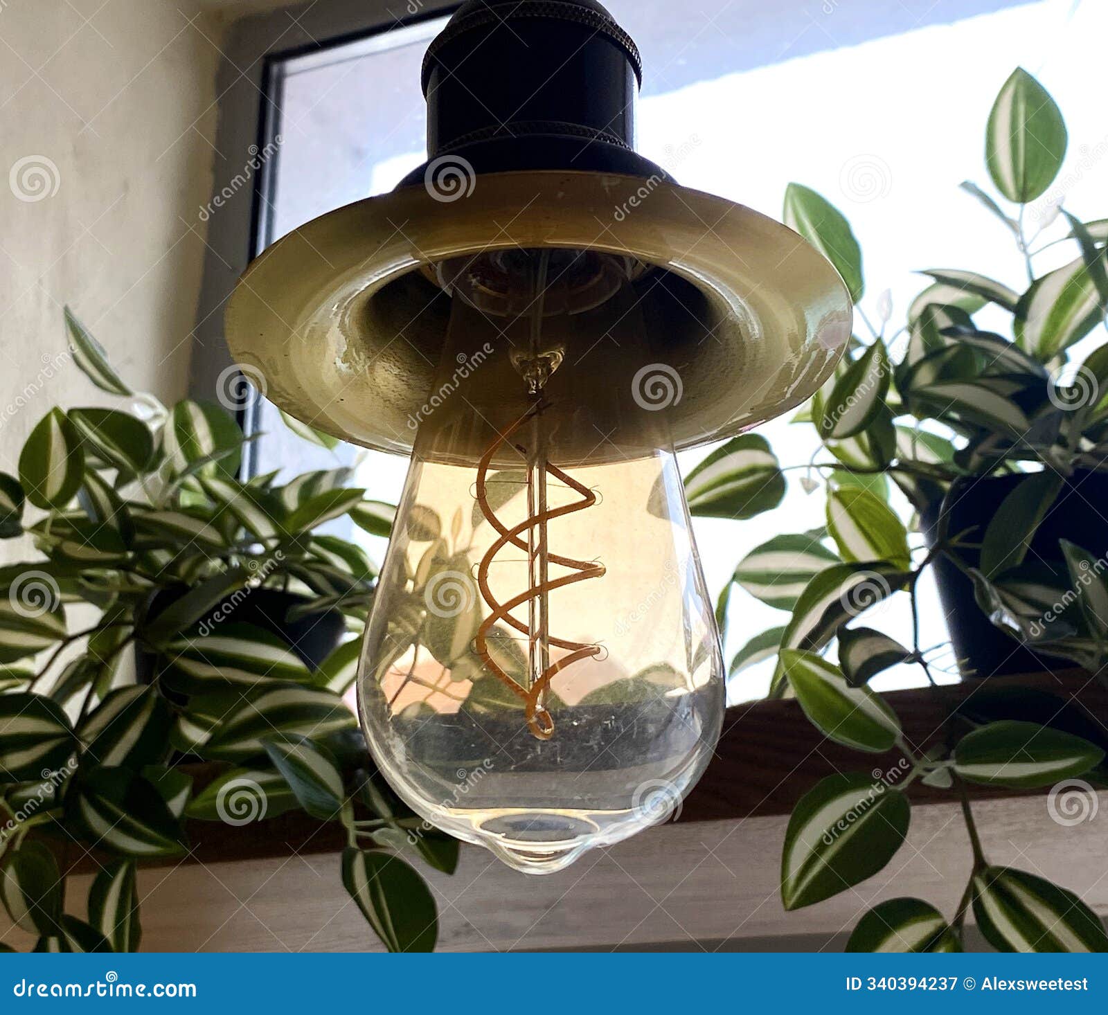 Incandescent Fluorescent Light Bulb Editorial Photography - Image of ...