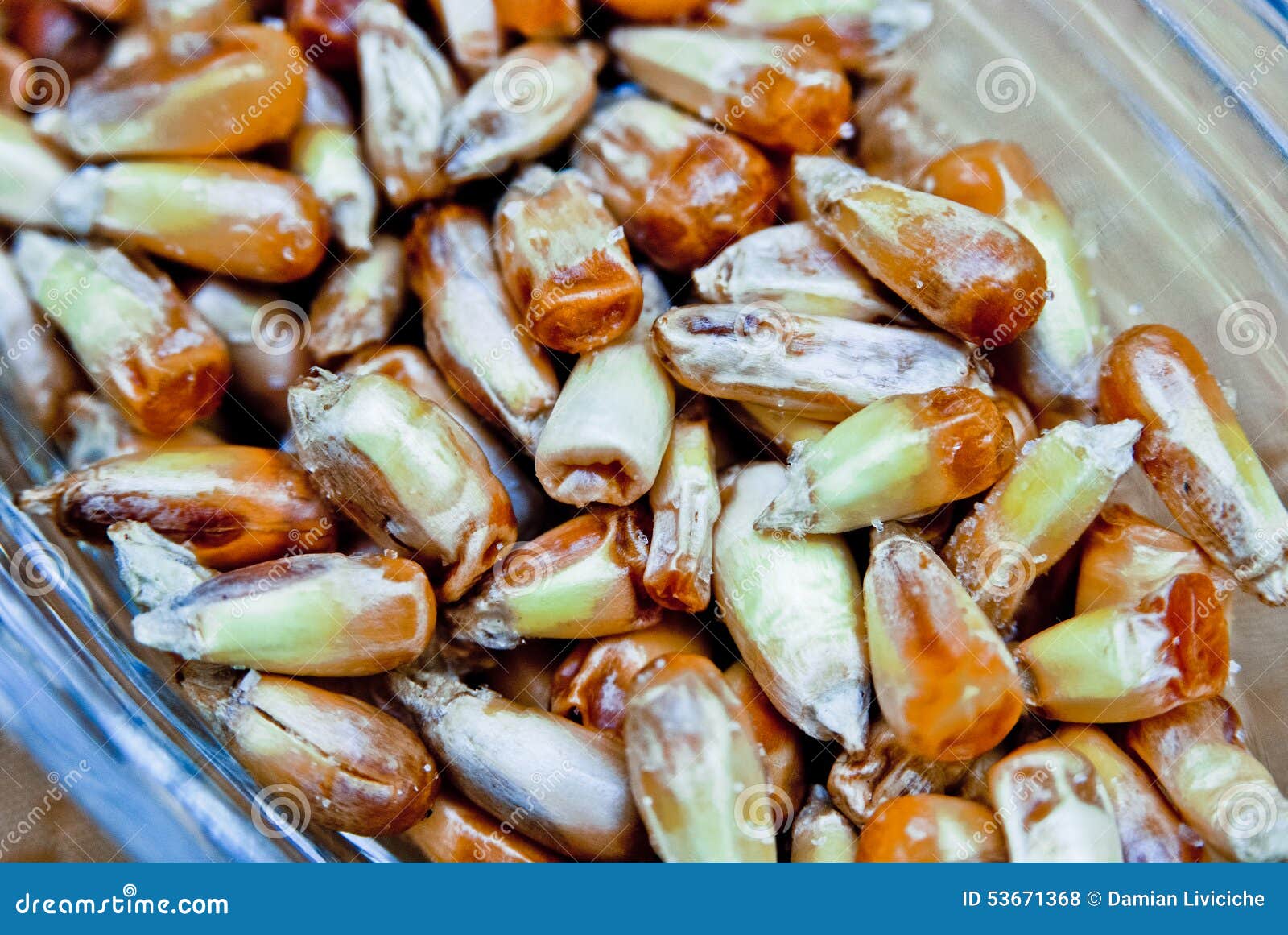 Incas Corn stock photo. Image of seeds, peruvian, food - 53671368