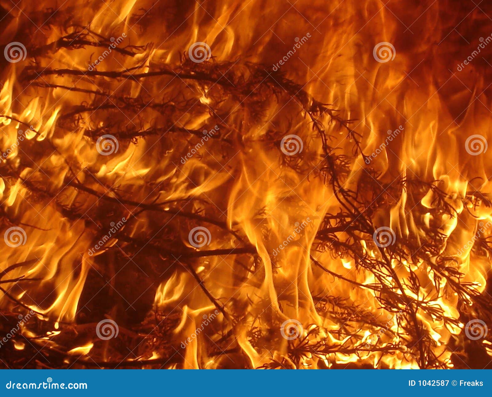Incendie image stock. Image du incendiaire, explosif, fougueux - 1042587