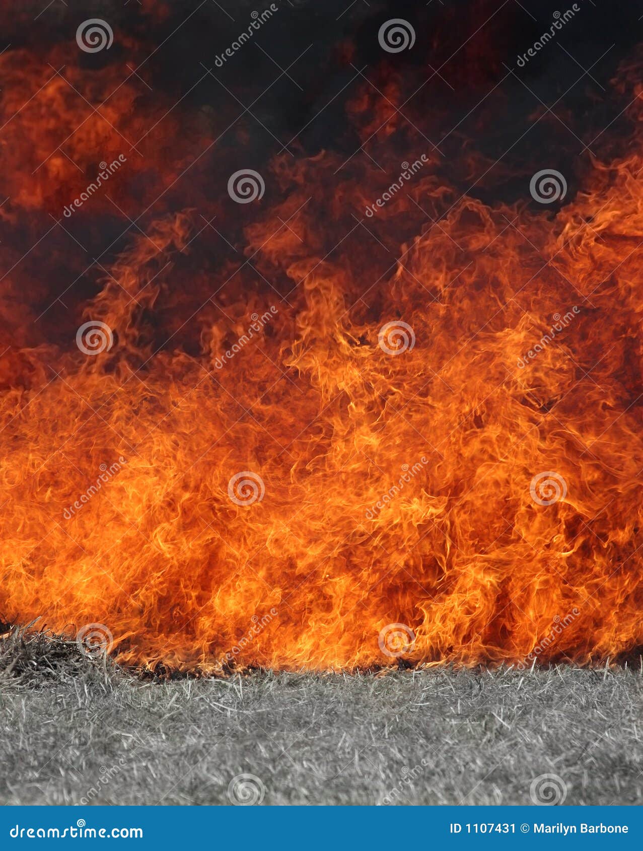 Incendie de flambage image stock. Image du chauffer, élément - 1107431