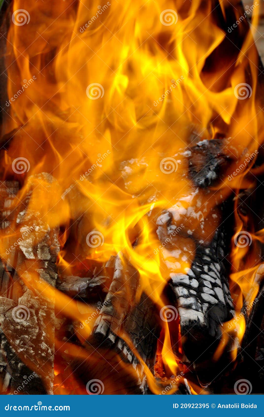 Incendie de flambage image stock. Image du charbons, flamme - 20922395
