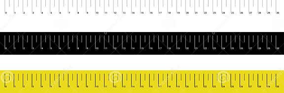 Inch and Centimeter Ruler Vector Illustration on a White Background ...
