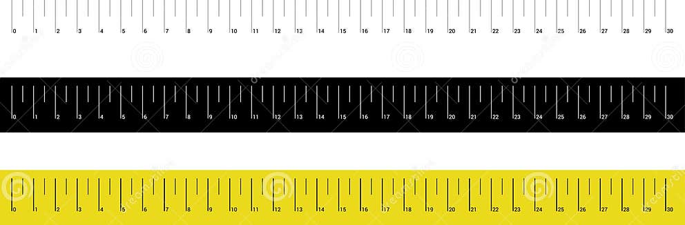 Inch and Centimeter Ruler Vector Illustration on a White Background ...