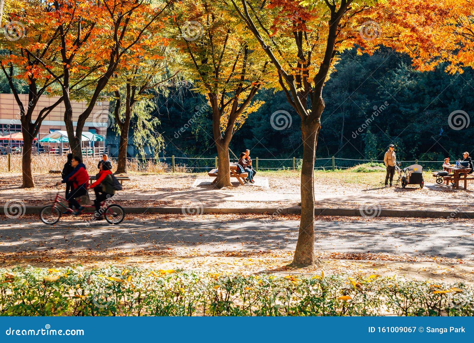 Incheon Grand Park at Autumn in Incheon, Korea Editorial Photography ...