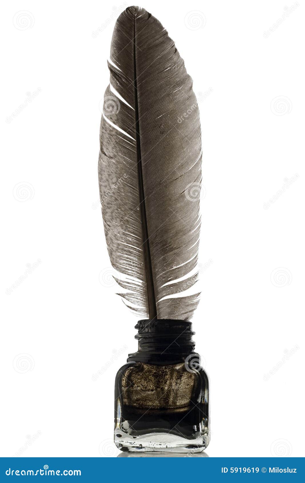 Inchiostro immagine stock. Immagine di letteratura, annata - 5919619