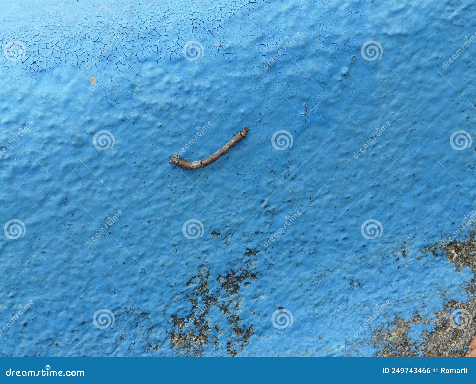Inchworm Geometer Moth Larvae Walking On Stem Isolated On White ...
