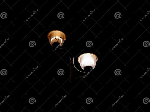 Included Lamp Post in the Park at Night Stock Photo - Image of ...