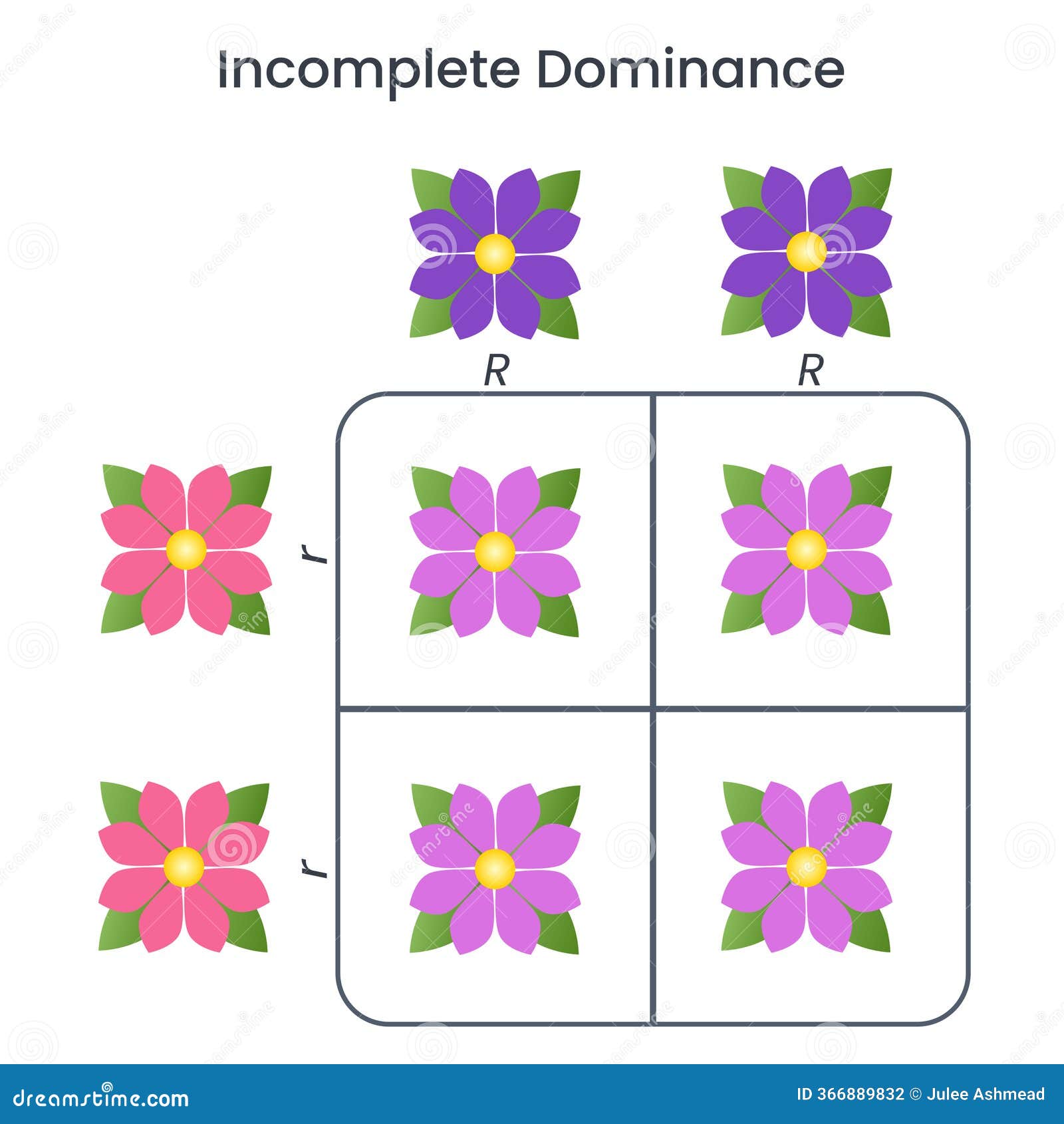 Alleles Cartoons, Illustrations & Vector Stock Images - 318 Pictures to ...