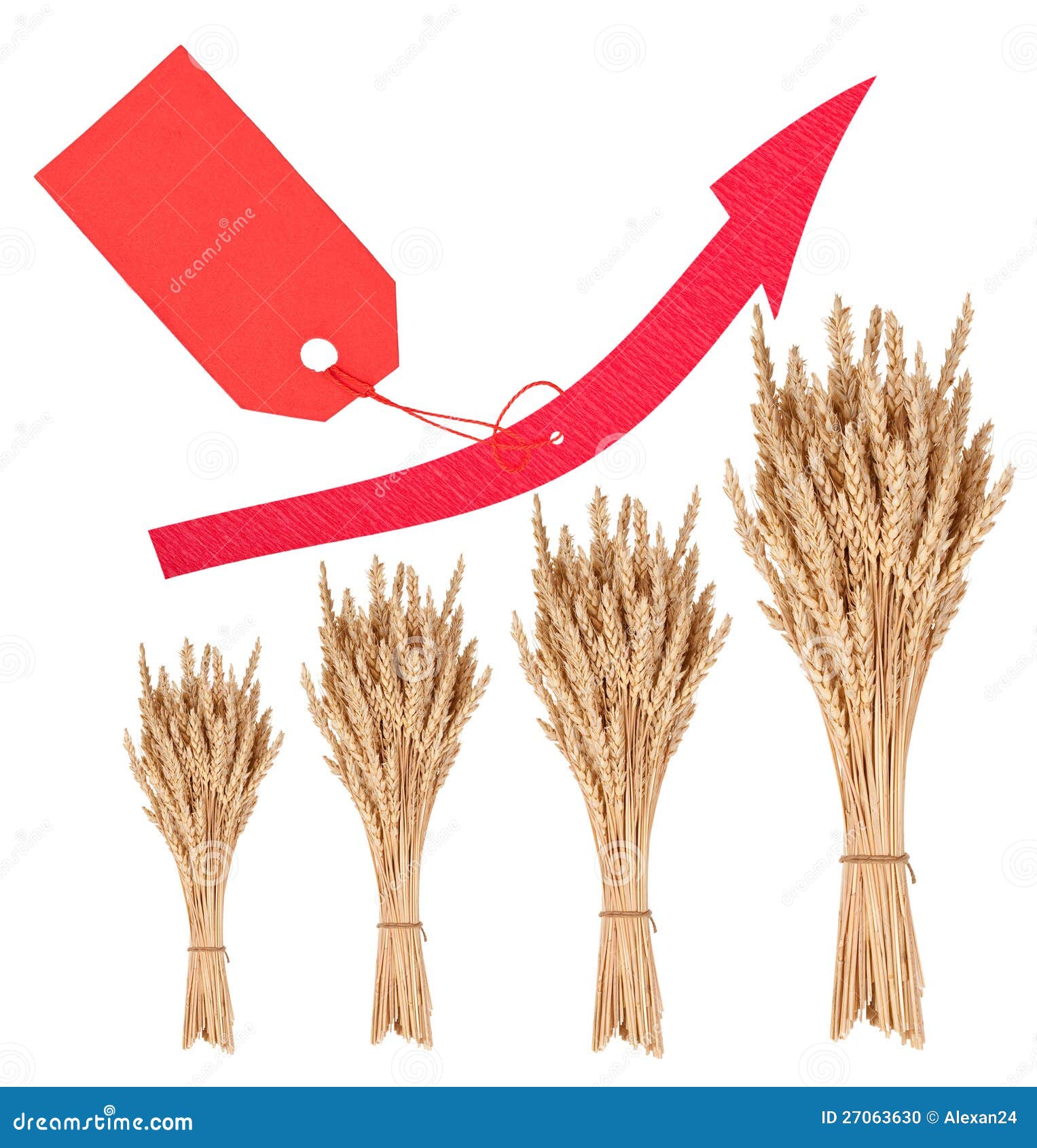 Increase in the Price of Wheat Stock Photo - Image of field, sale: 27063630