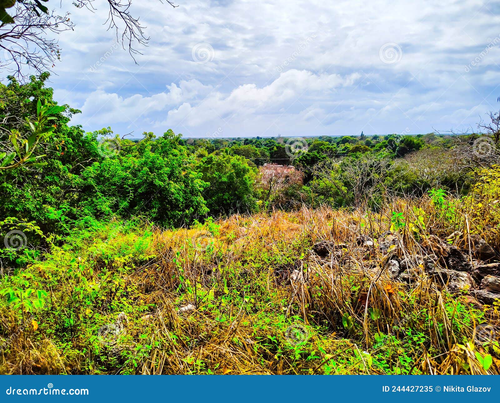 Incredible mexican nature stock image. Image of grassland - 244427235