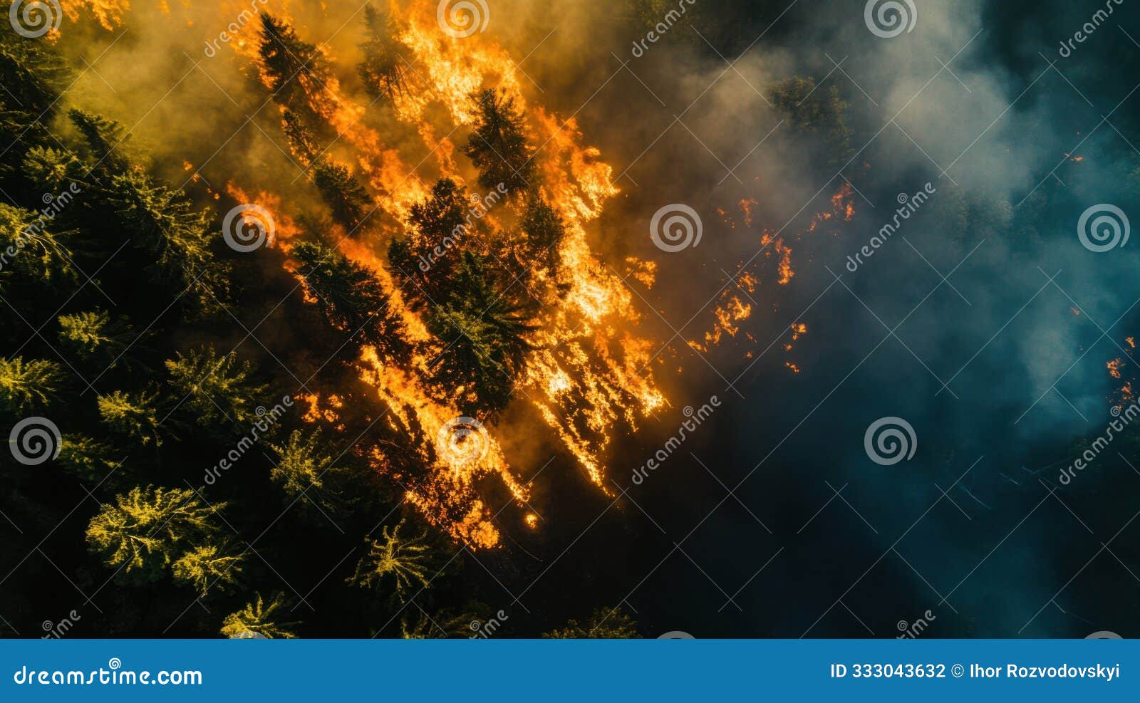 Incredible Photo of the Forest after a Big Forest Fire. Black Burnt ...