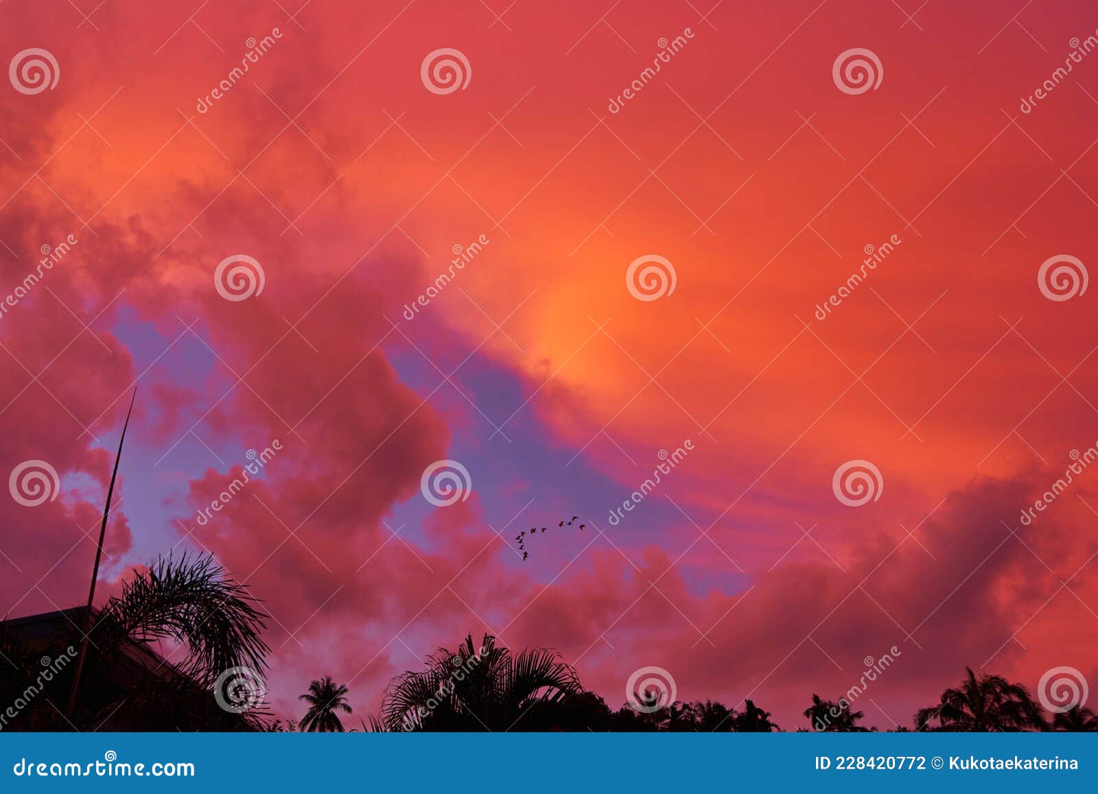 Incredible Red Sunset Clouds Against the Blue Sky Stock Photo - Image ...