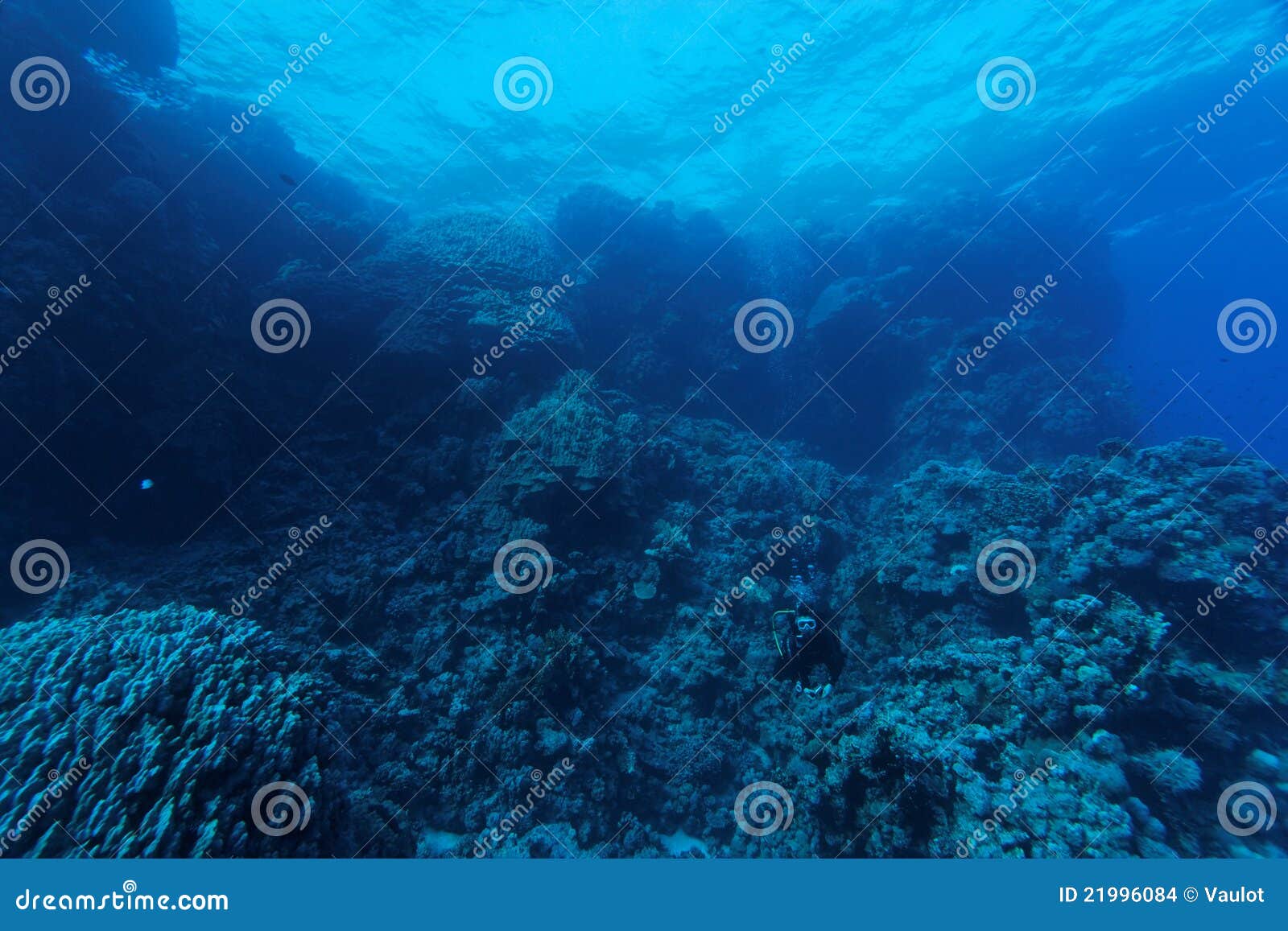 Incredible Visibility on the Reef - Red Sea Stock Photo - Image of ...