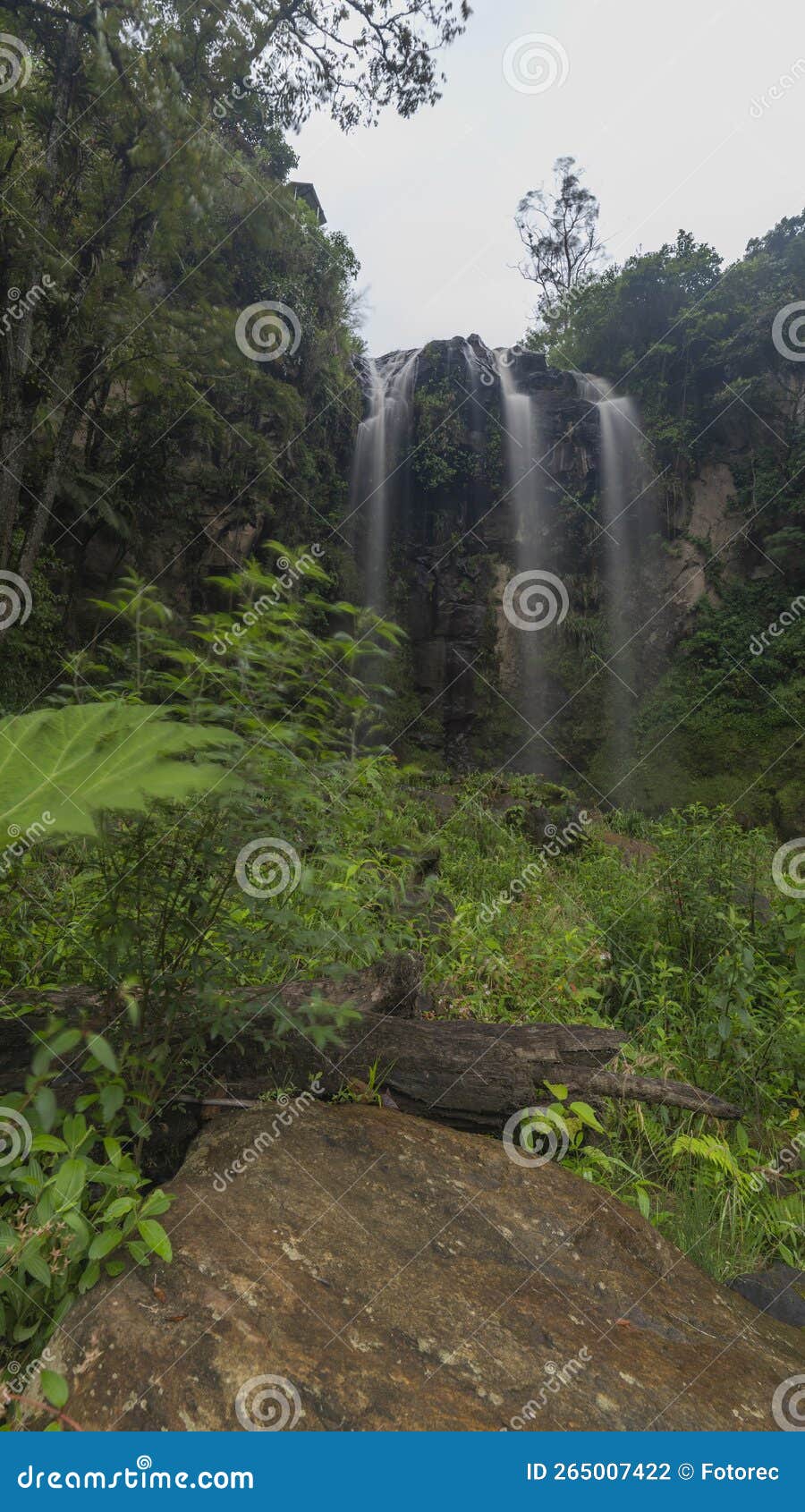 Incredible Waterfalls in the Middle of Nature in the Mountains of ...