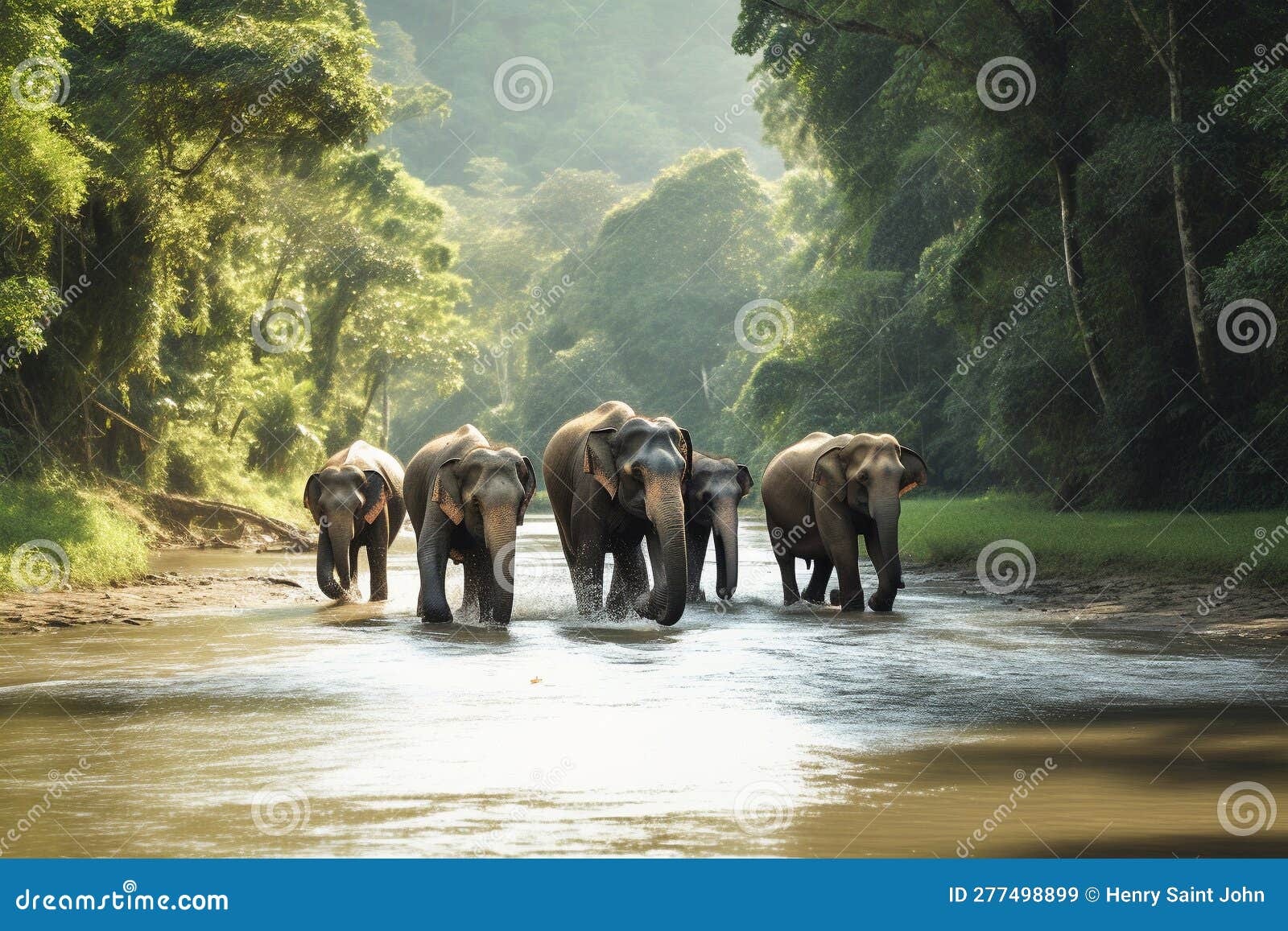 Incredible Wildlife Encounters: Exploring Earth S Fascinating Creatures ...