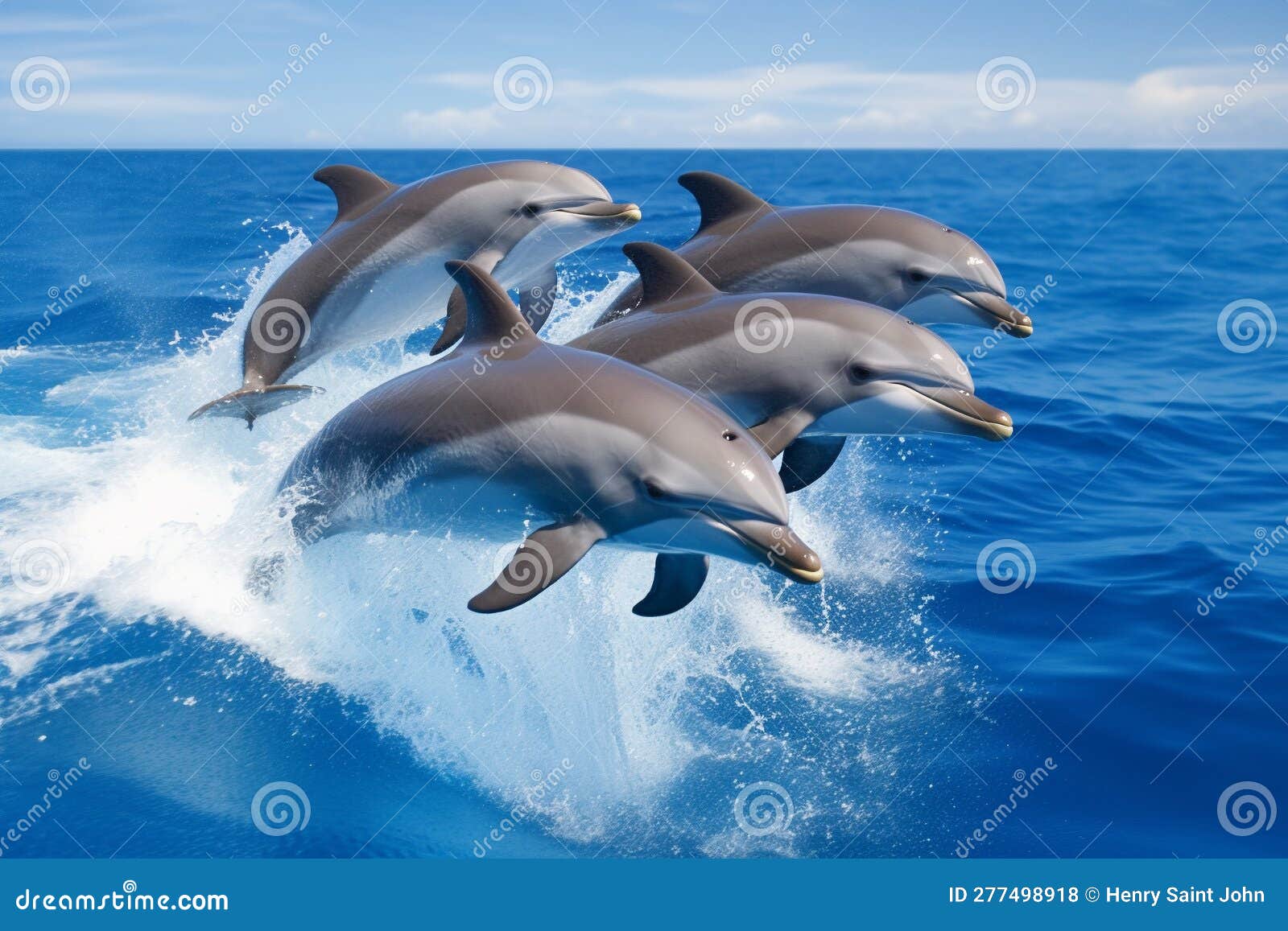 Incredible Wildlife Encounters: Exploring Earth S Fascinating Creatures ...