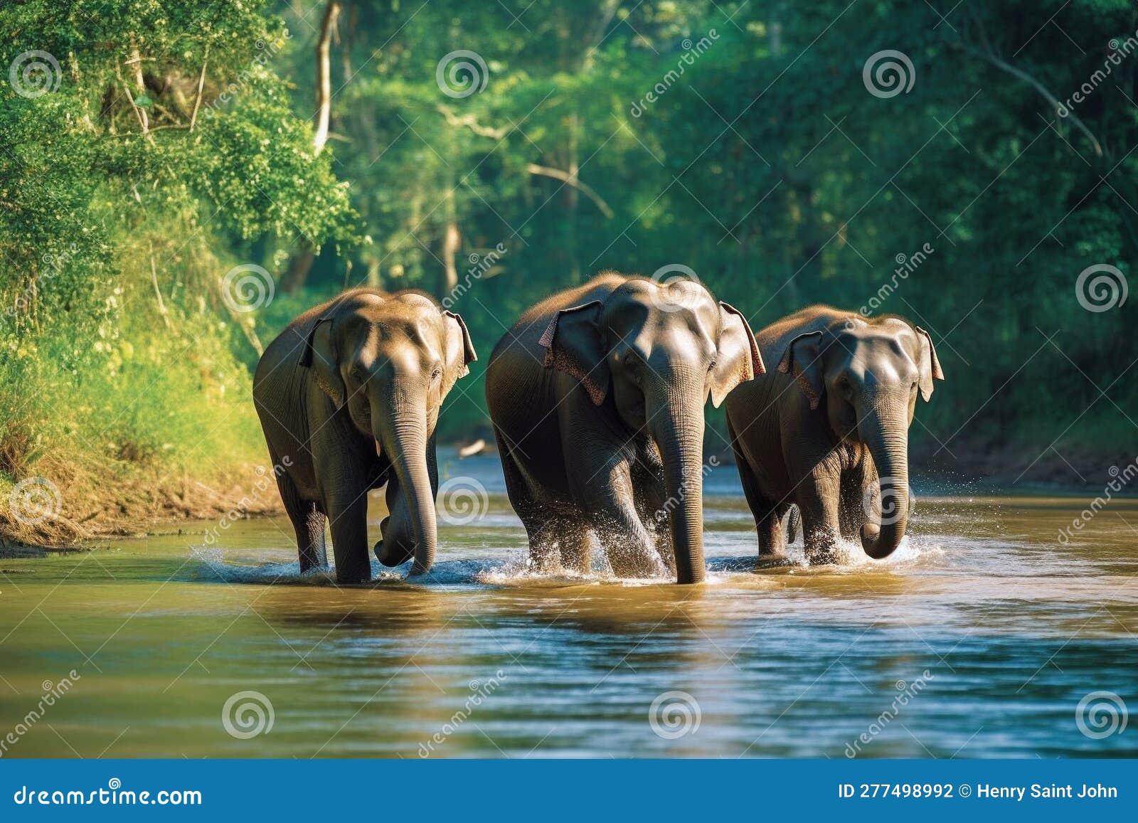 Incredible Wildlife Encounters: Exploring Earth S Fascinating Creatures ...