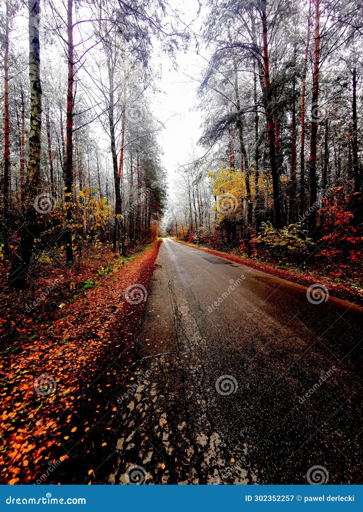 Colorful Road With Traditional Houses In Colonial Style In Alausi ...