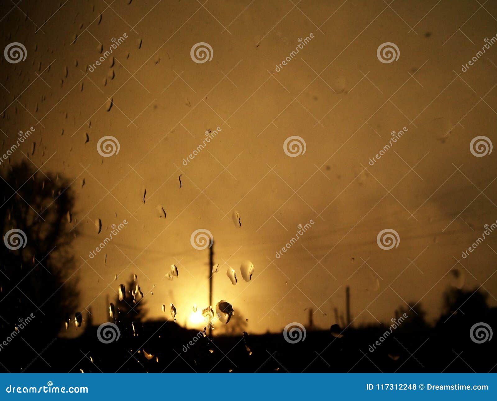 Incredibly yellows stock photo. Image of raindrop, sunlight - 117312248